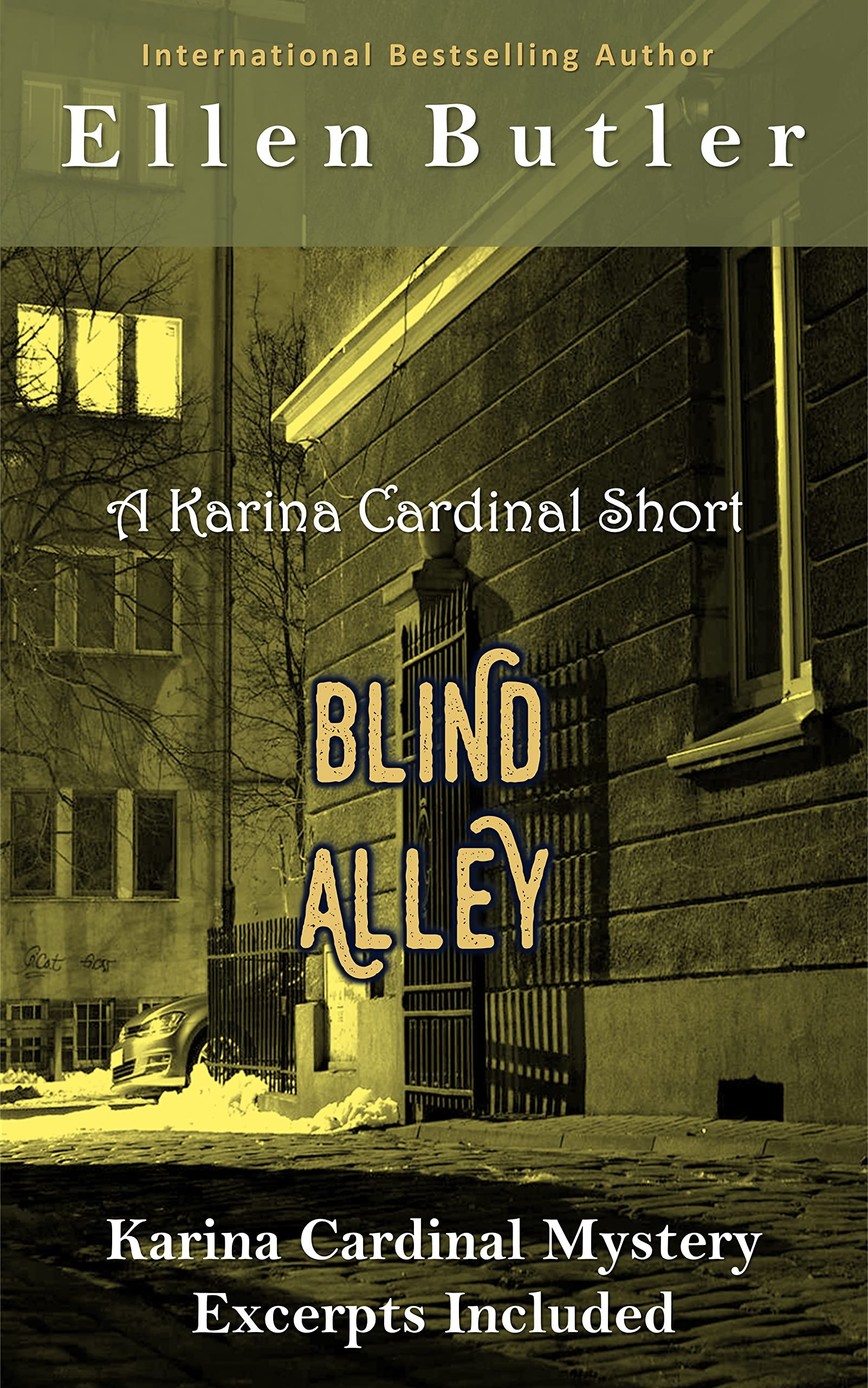 Blind Alley: A Karina Cardinal Short by Ellen Butler | Goodreads