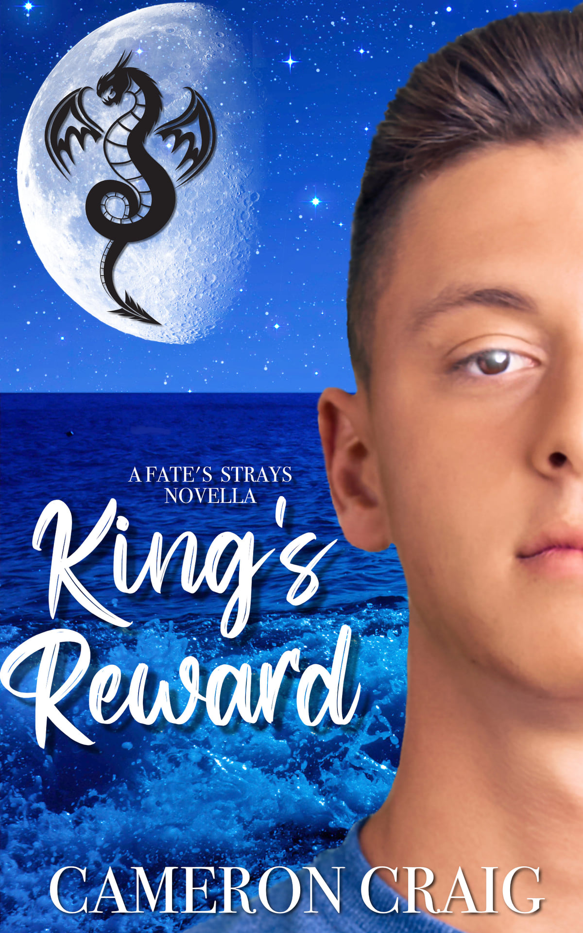 King’s Reward (Fate's Strays, #2.5) by Cameron Craig | Goodreads