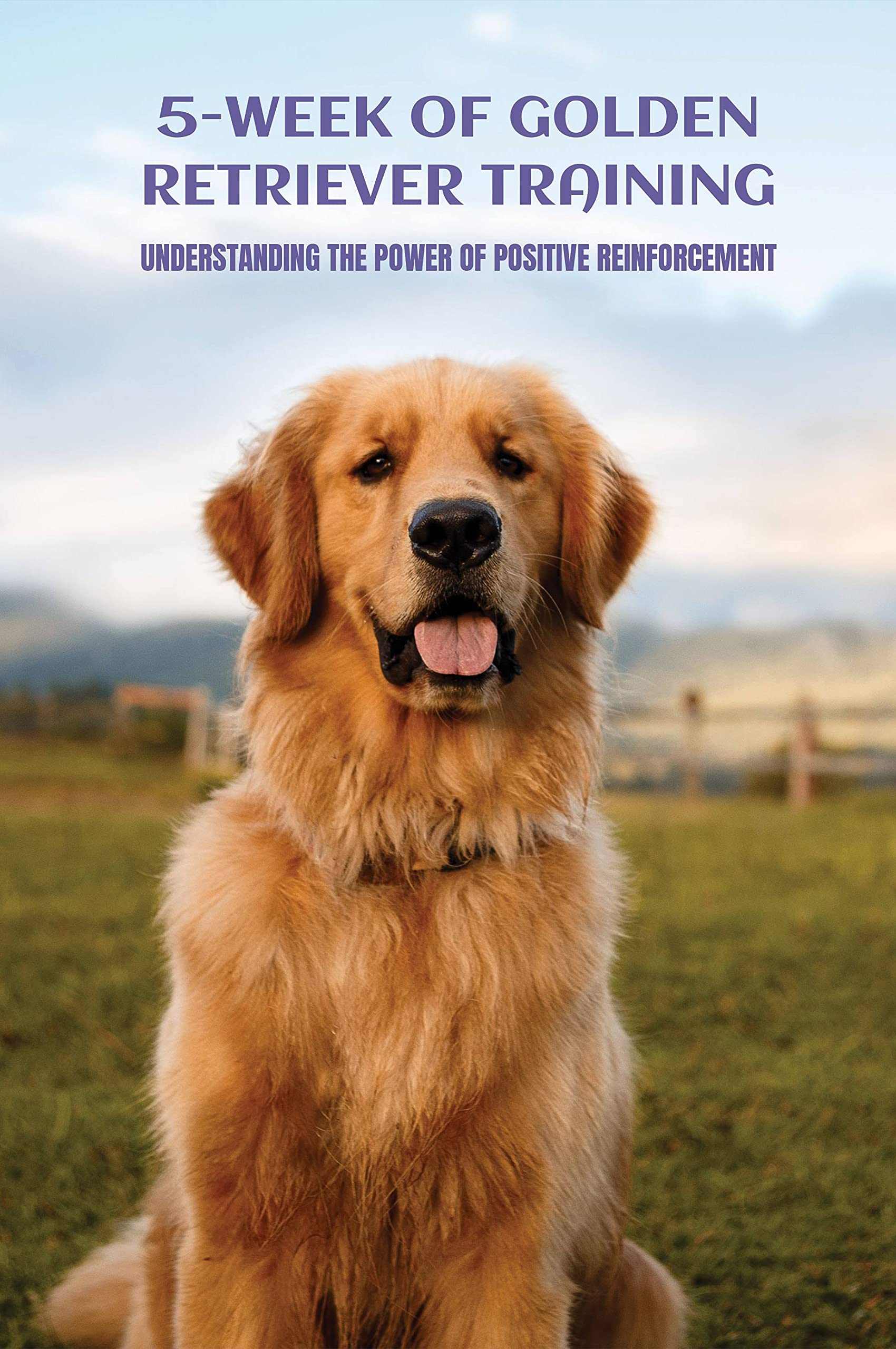 5-Week Of Golden Retriever Training: Understanding The Power Of ...
