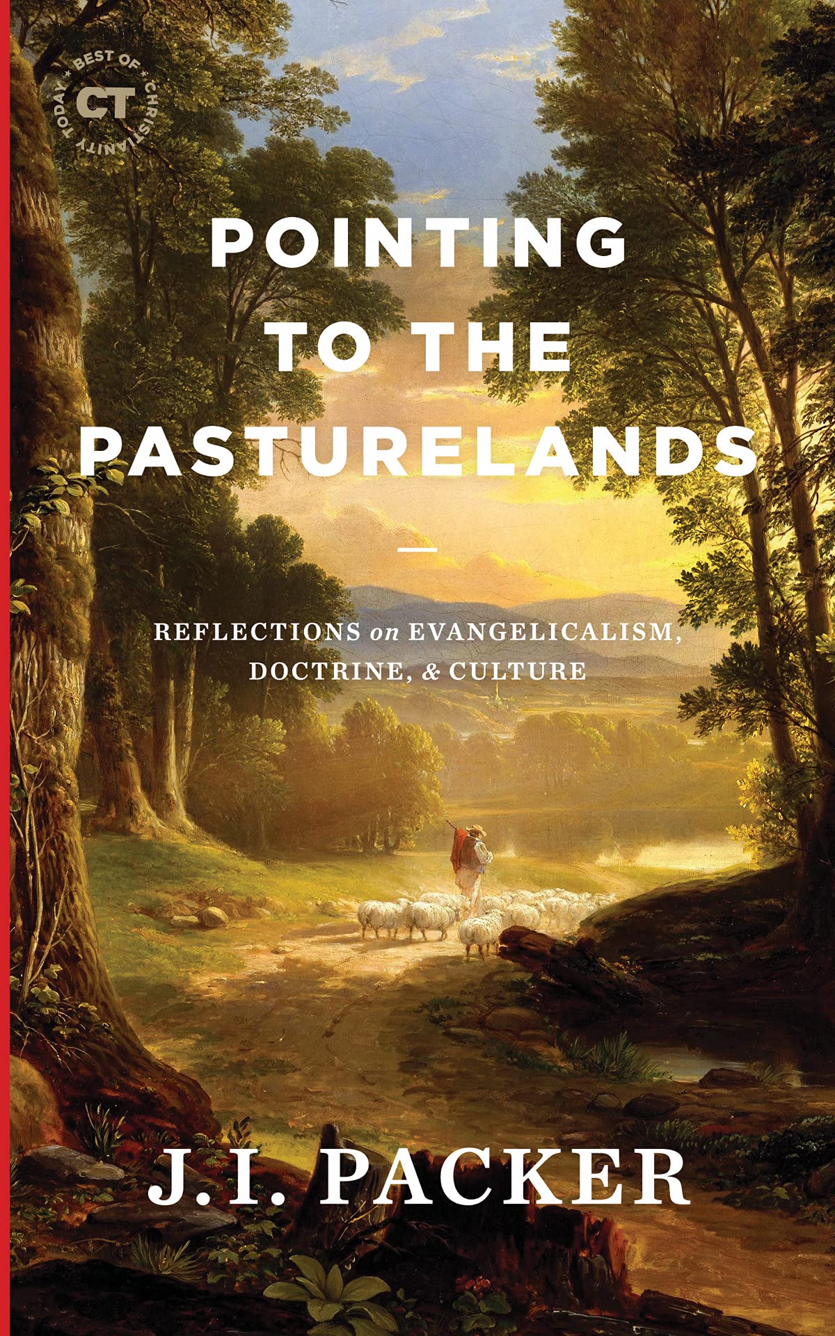 Pointing to the Pasturelands: Reflections on Evangelicalism, Doctrine ...
