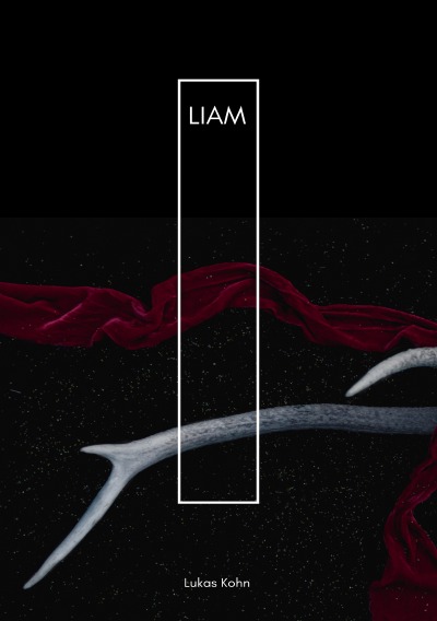 Liam (German Edition) by Lukas Kohn | Goodreads