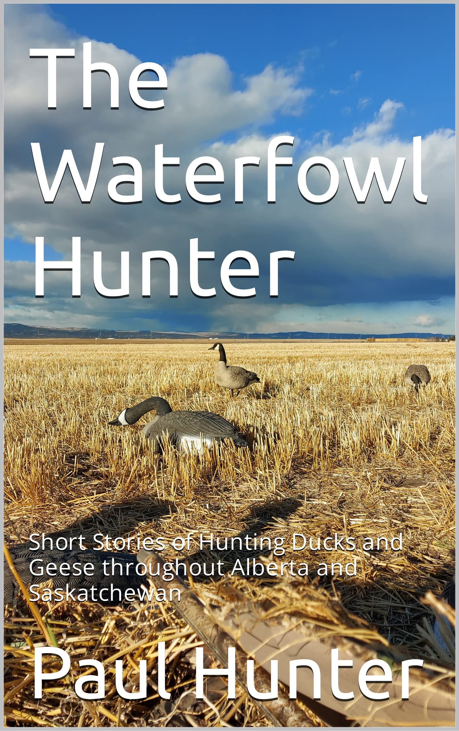 The Waterfowl Hunter: Short Stories of Hunting Ducks and Geese ...