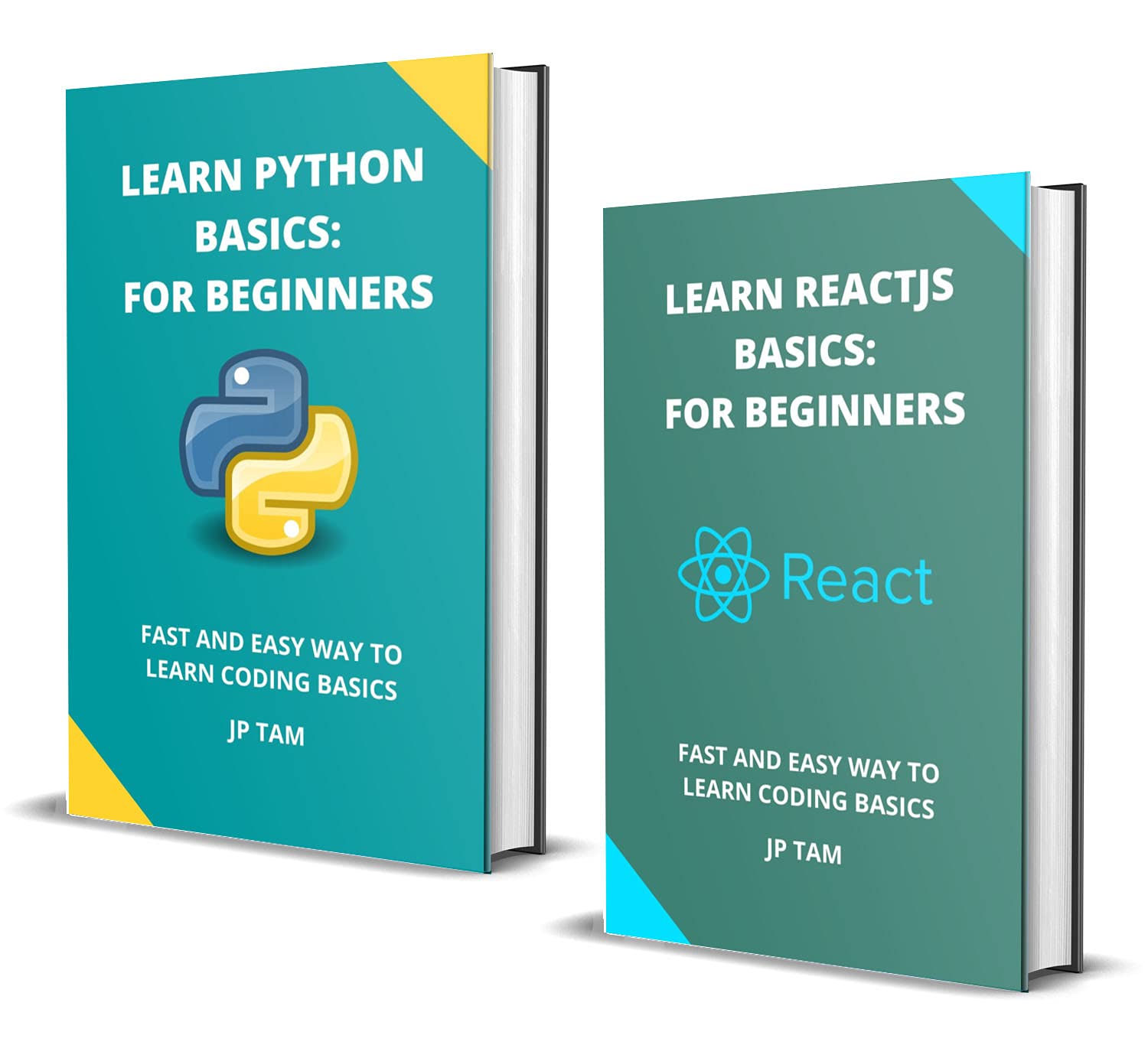 LEARN REACTJS AND PYTHON BASICS FOR BEGINNERS FAST AND EASY WAY TO
