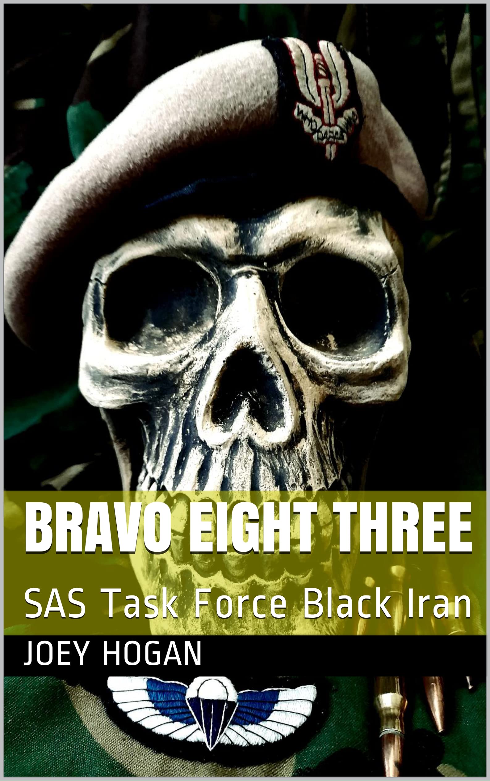 Bravo Eight Three: SAS Task Force Black Iran by Joey Hogan | Goodreads