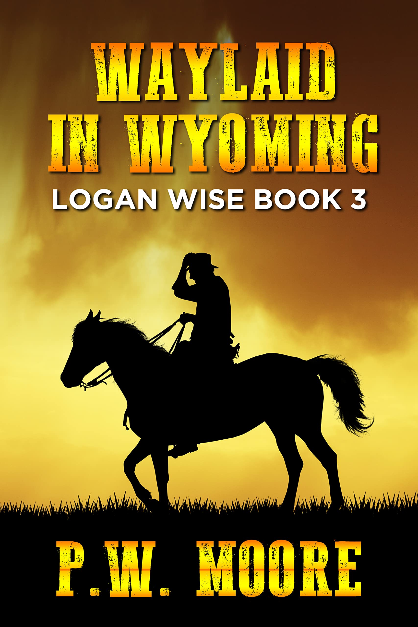 Waylaid in Wyoming: Logan Wise Book 3 by P.W. Moore | Goodreads