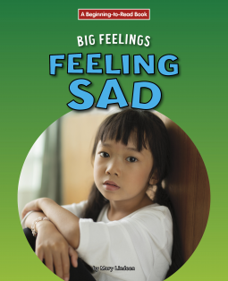 Feeling Sad by Mary Lindeen | Goodreads