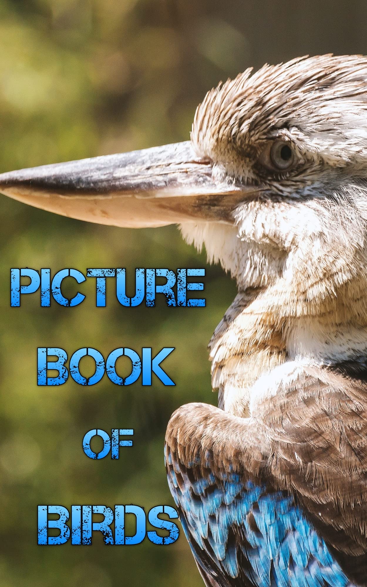 Picture Book Of Birds: 100 high quality bird images by Simply Unique ...