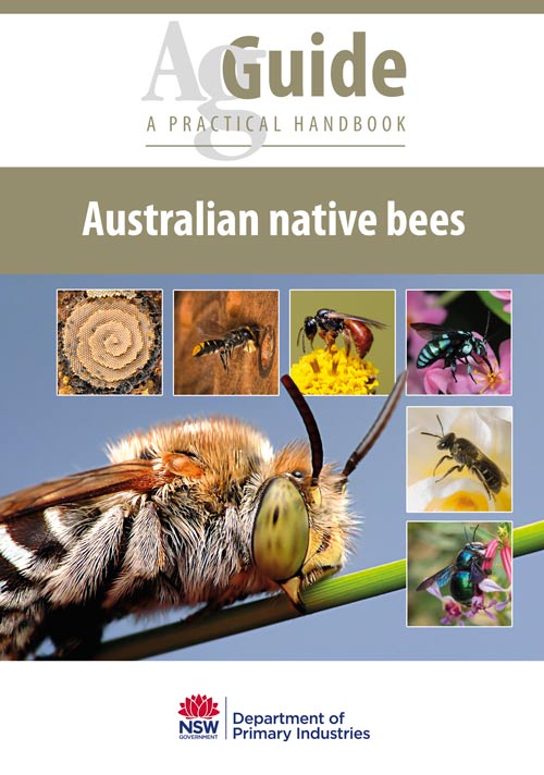 Australian Native Bees: a practical handbook (AgGuide) by Anne Dollin ...