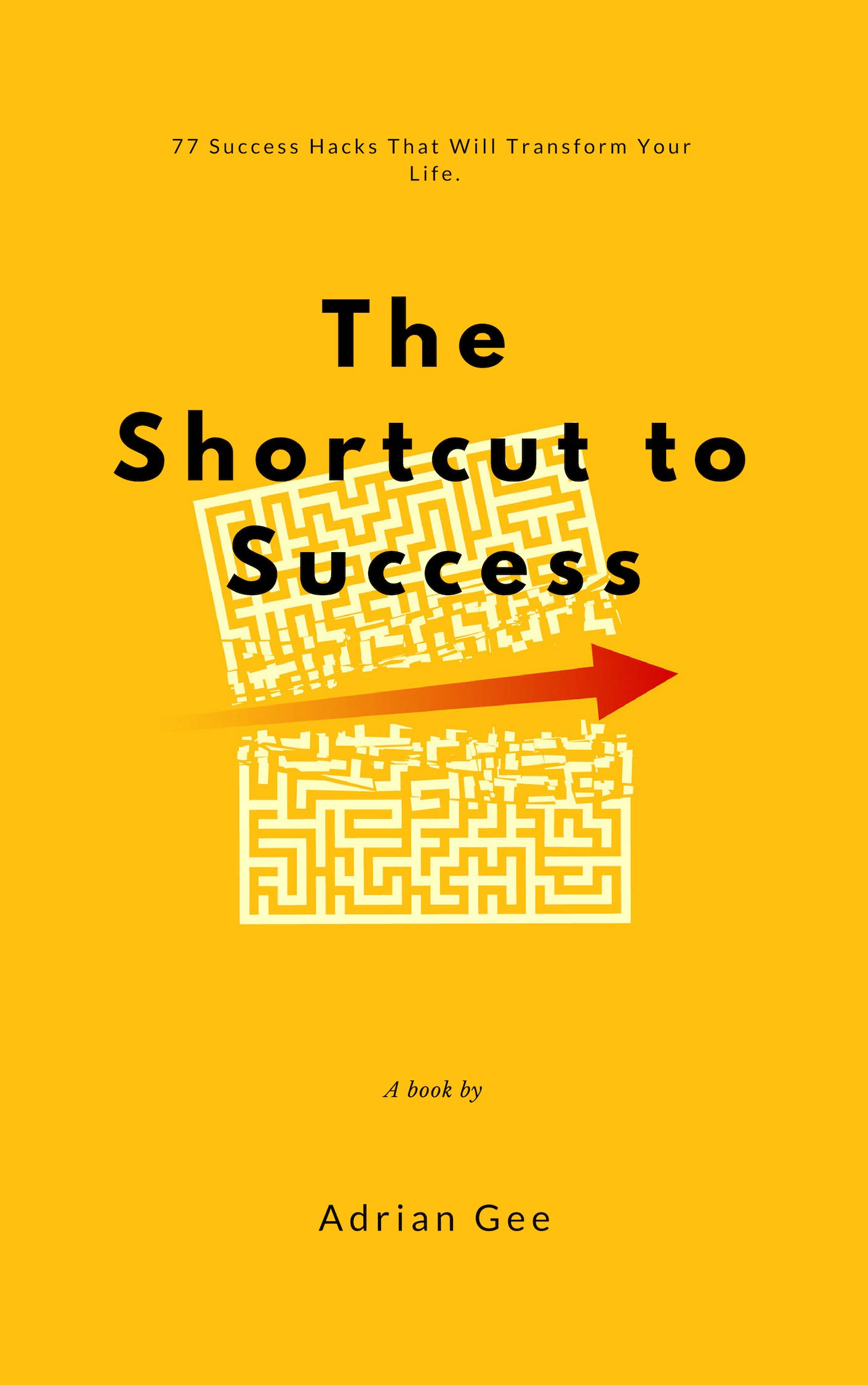 The Shortcut to Success: 77 Hacks That Will Transform Your Life by ...