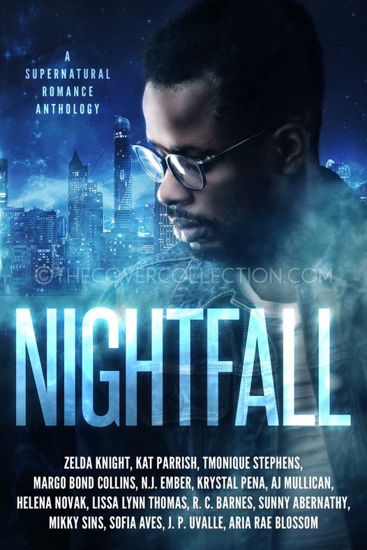 Nightfall: A limited Edition Supernatural Romance Anthology by Sunny ...