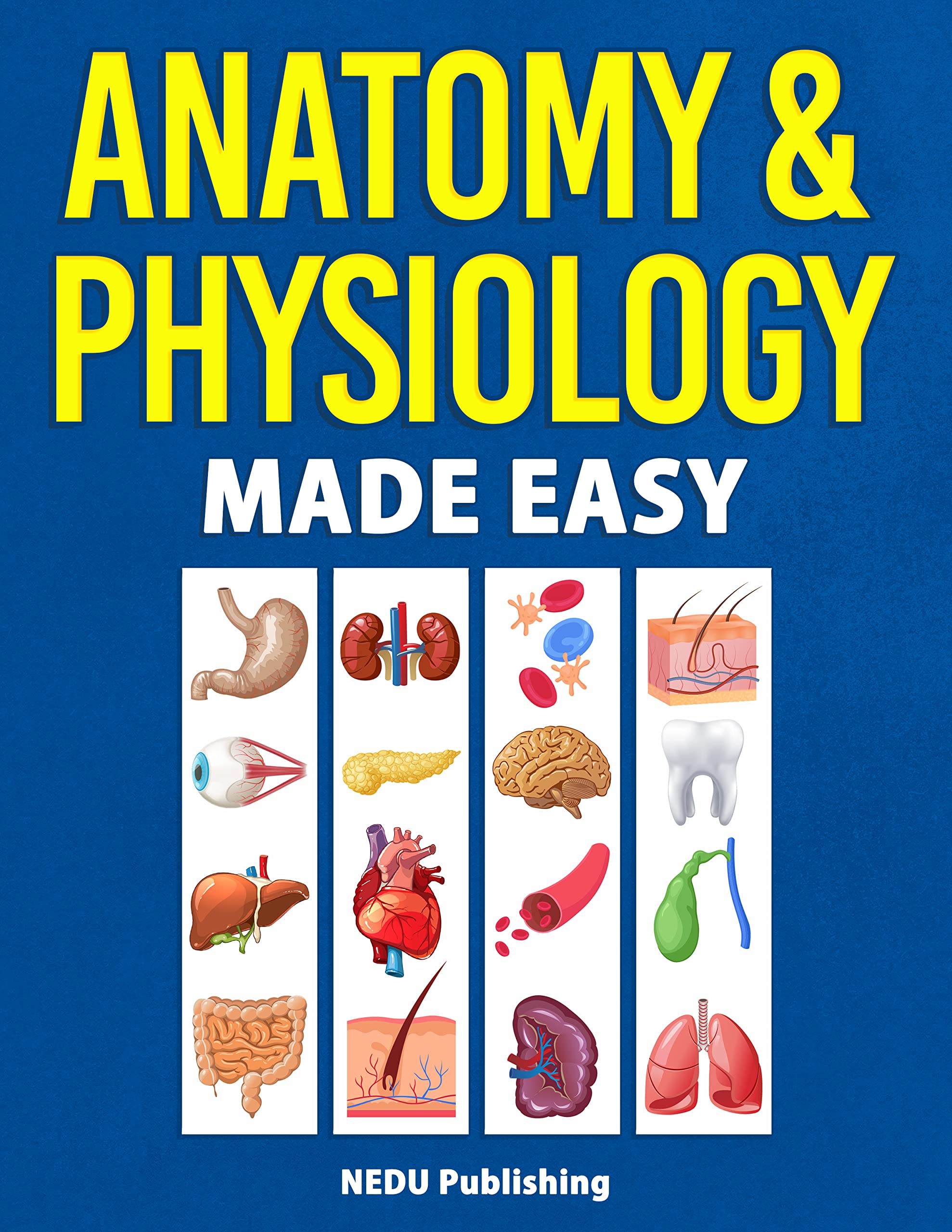 Anatomy Physiology Made Easy An Illustrated Study Guide For Students anatomy-physiology-made-easy-an-illustrated-study-guide-for-students