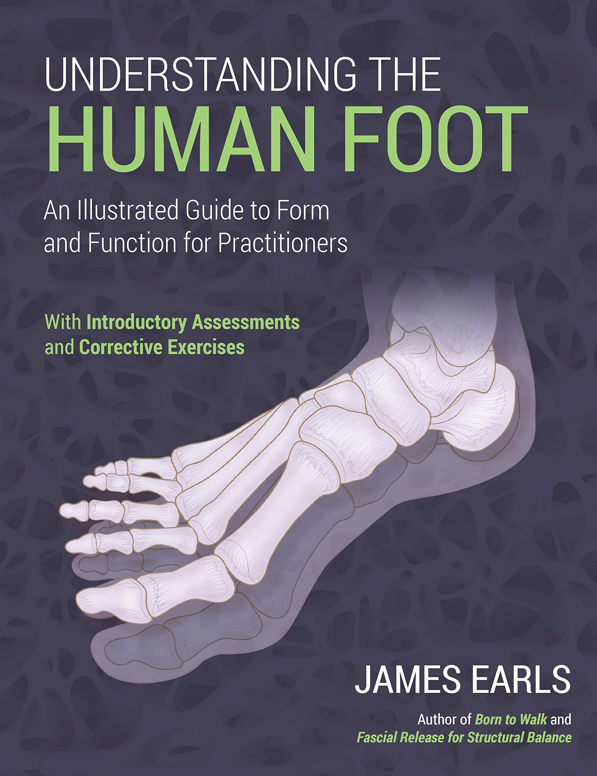 Understanding the Human Foot: An Illustrated Guide to Form and Function ...
