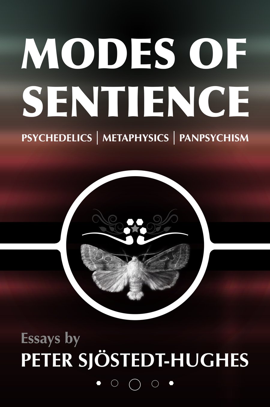 Modes of Sentience: Psychedelics, Metaphysics, Panpsychism by Peter ...