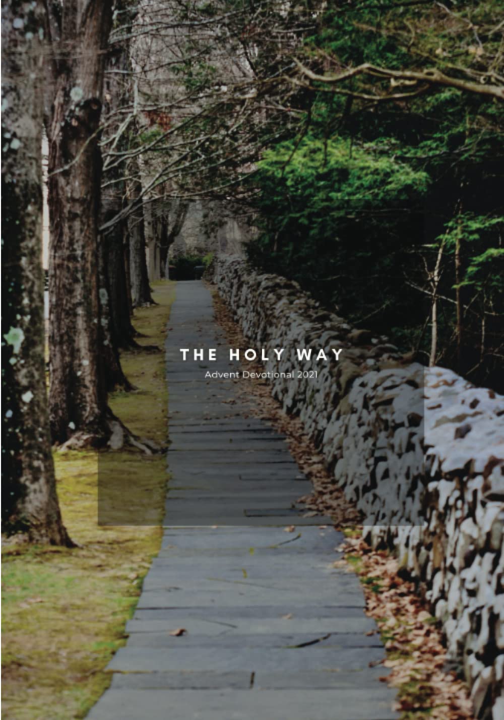 The Holy Way: An Advent Devotional by Elizabeth Foss | Goodreads