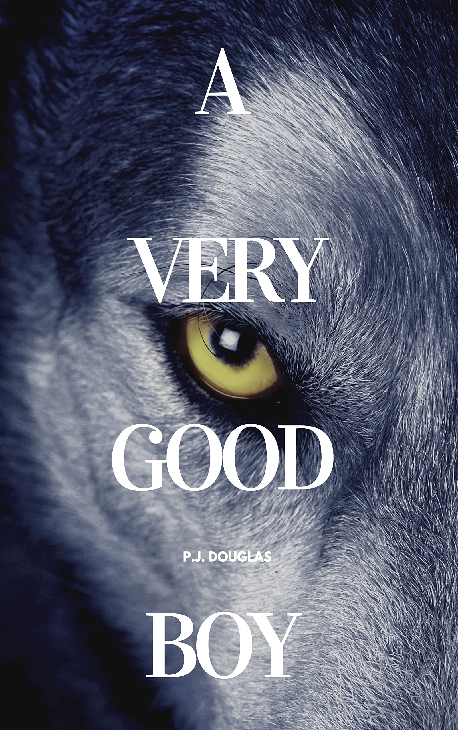 A Very Good Boy by P.J. Douglas | Goodreads