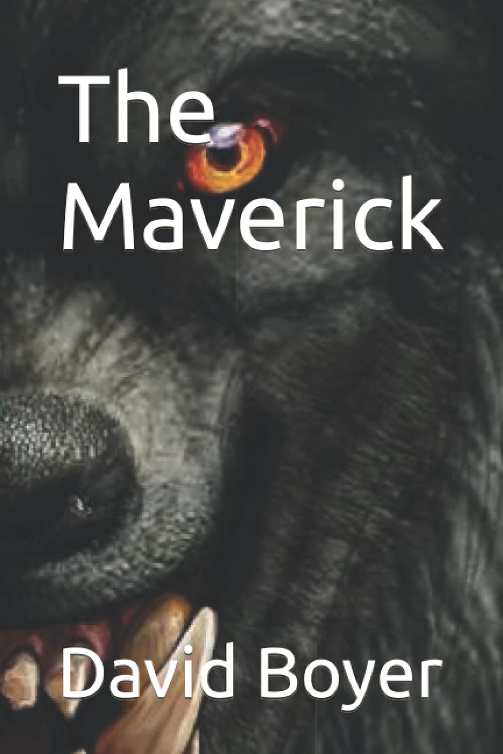 The Maverick by David Boyer | Goodreads