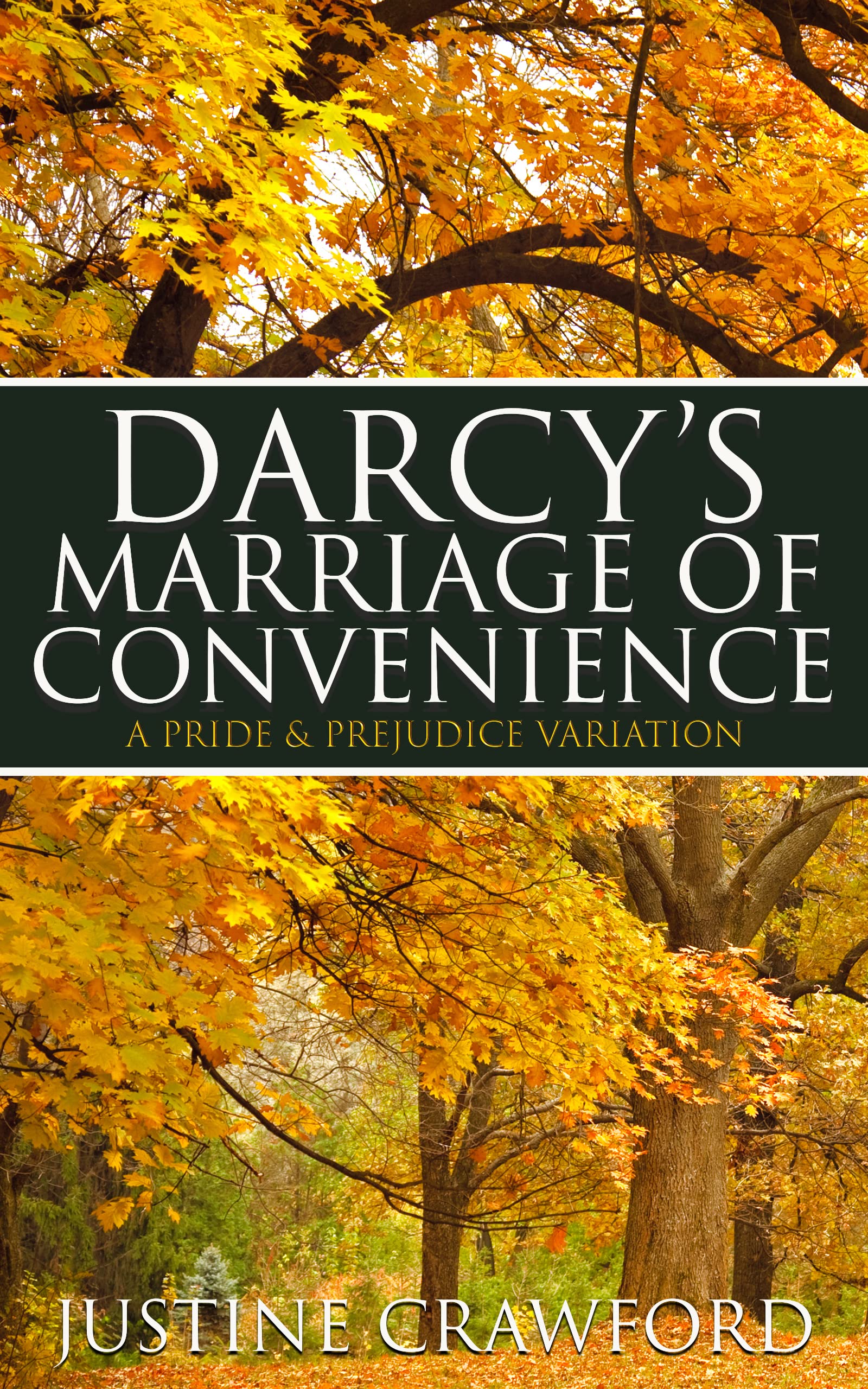 Darcy's Marriage of Convenience: A Pride & Prejudice Variation by ...