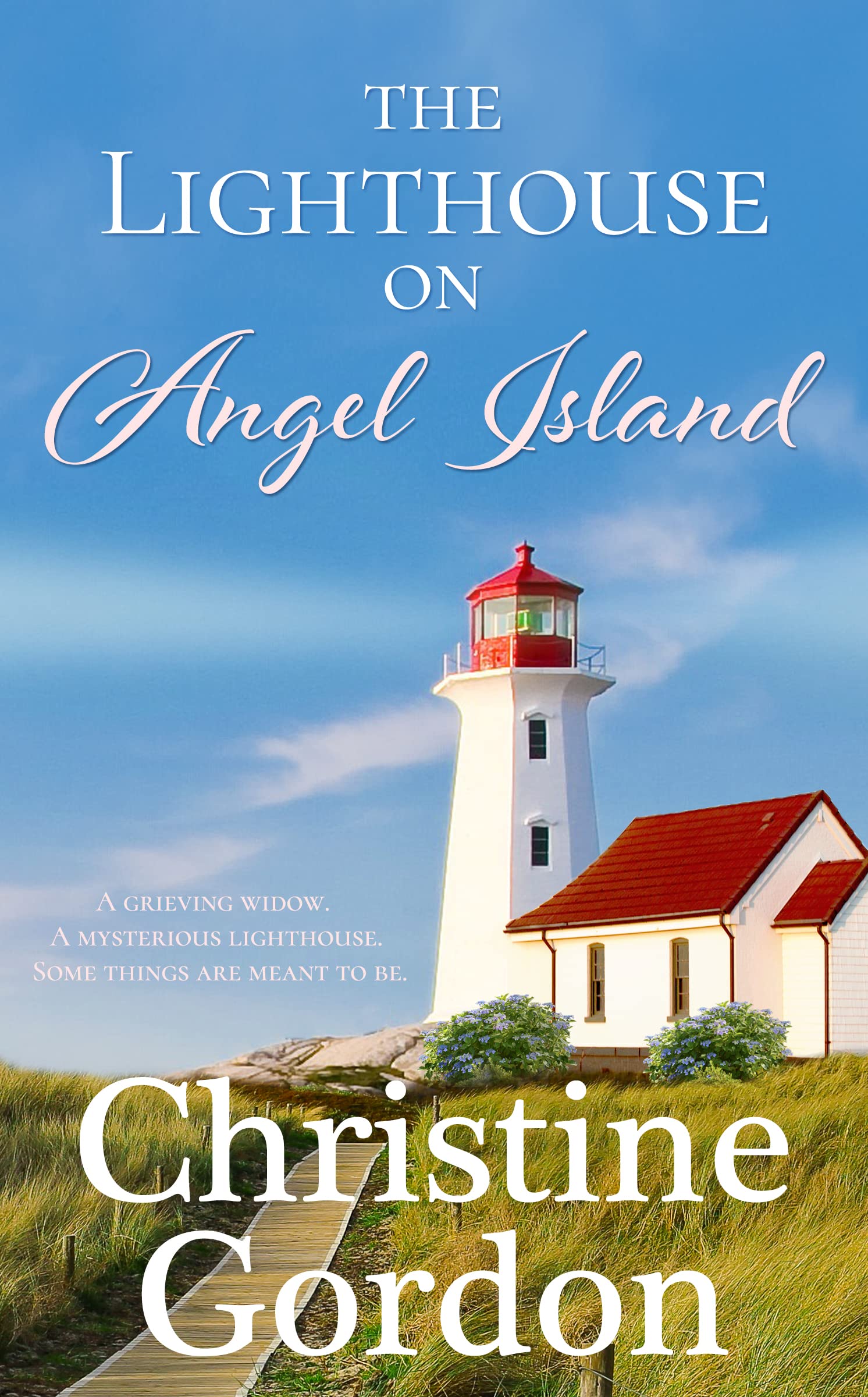 The Lighthouse on Angel Island: A grieving widow. A mysterious ...