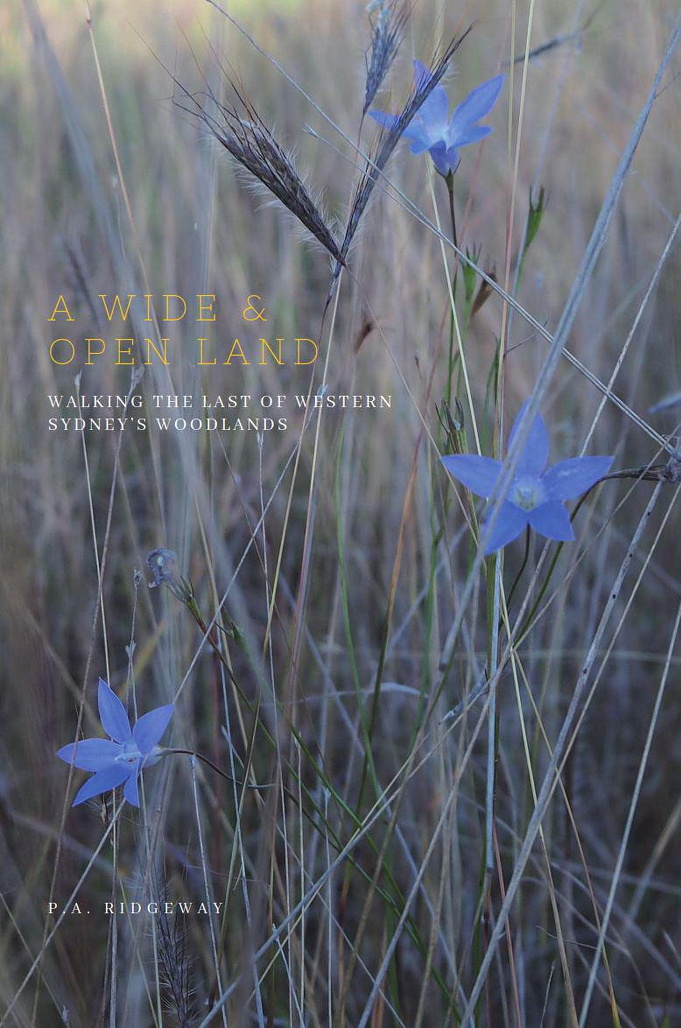A Wide & Open Land: Walking the Last of Western Sydney’s Woodlands by ...