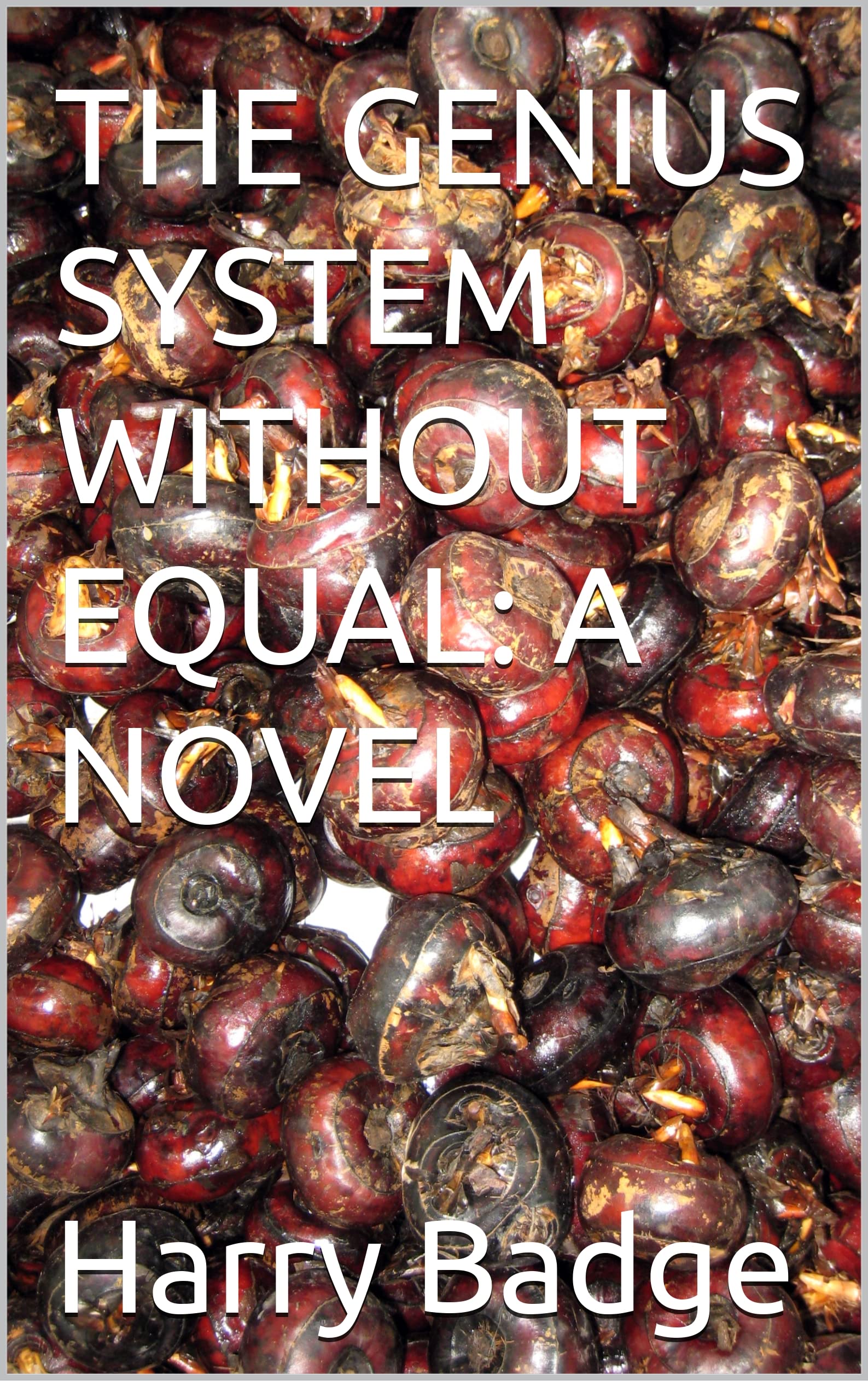 THE GENIUS SYSTEM WITHOUT EQUAL: A NOVEL by Harry Badge | Goodreads