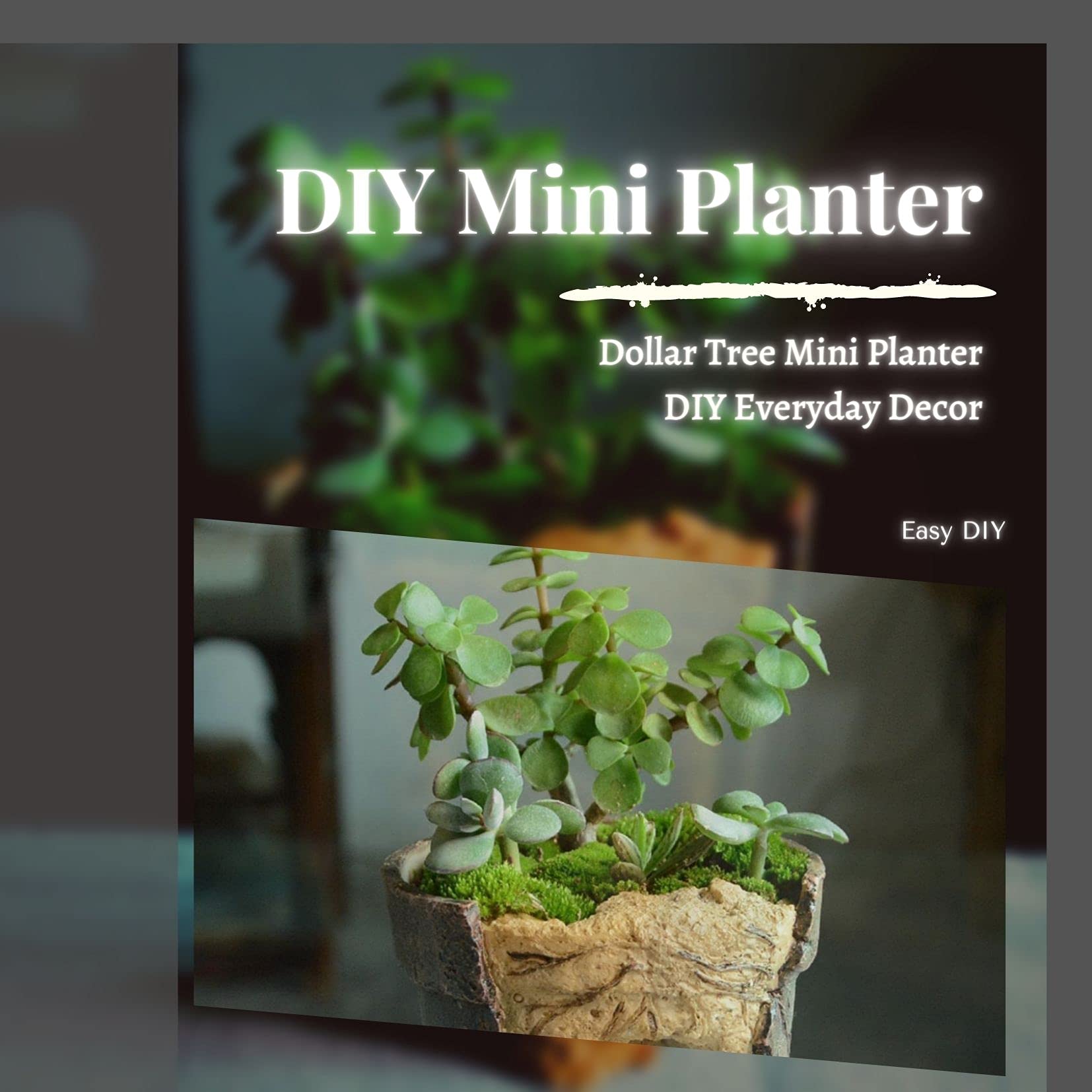 DIY Mini Planter: Dollar Tree Mini Planter DIY Everyday Decor by Easy ...