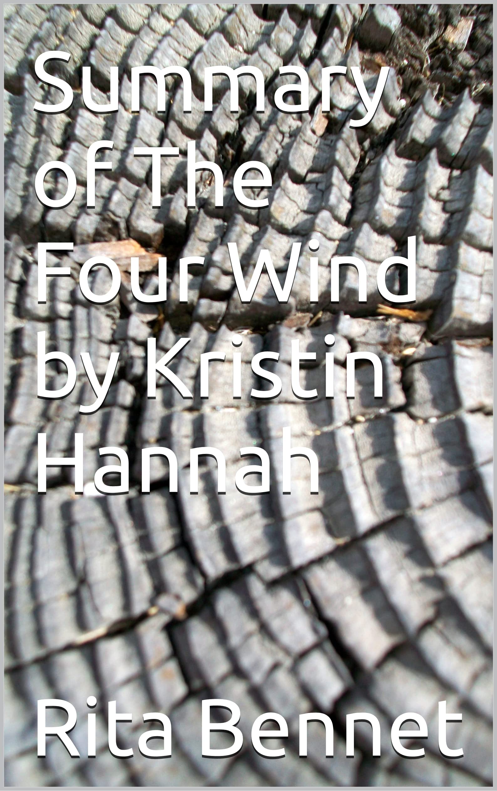 Summary of The Four Wind by Kristin Hannah by Rita Bennet | Goodreads