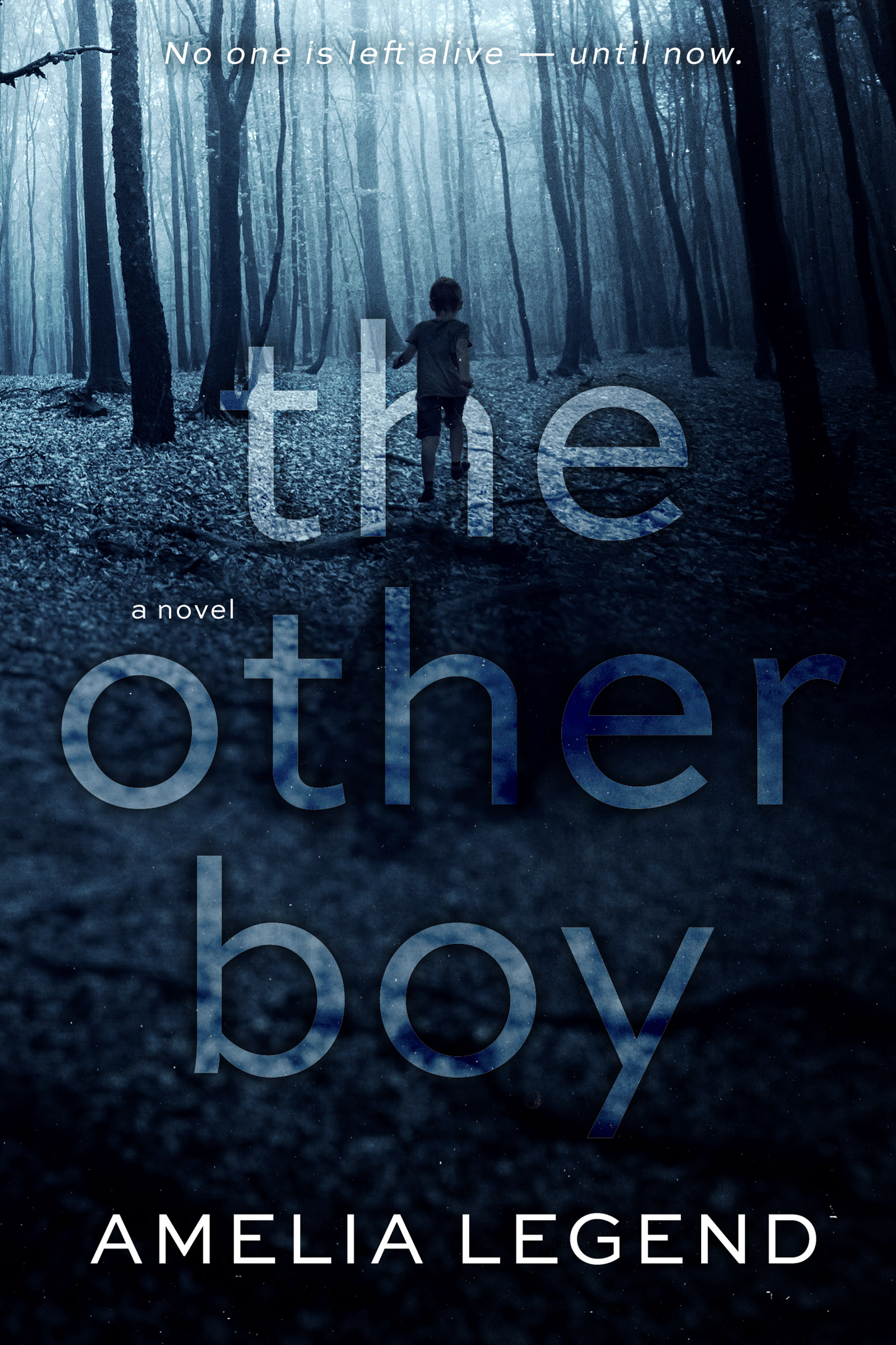 The Other Boy by Amelia Legend | Goodreads