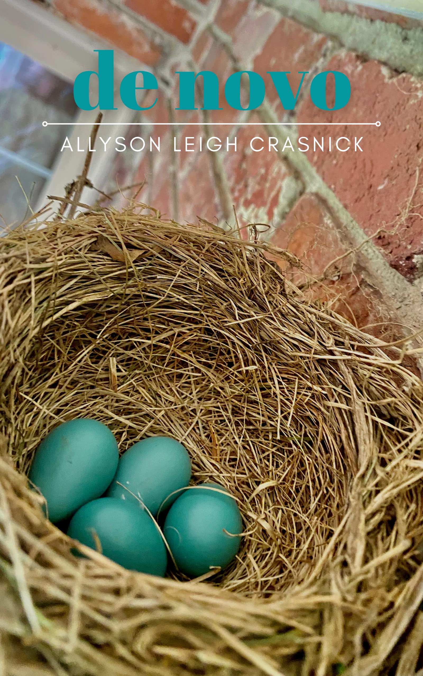 De Novo by Allyson Leigh Crasnick | Goodreads