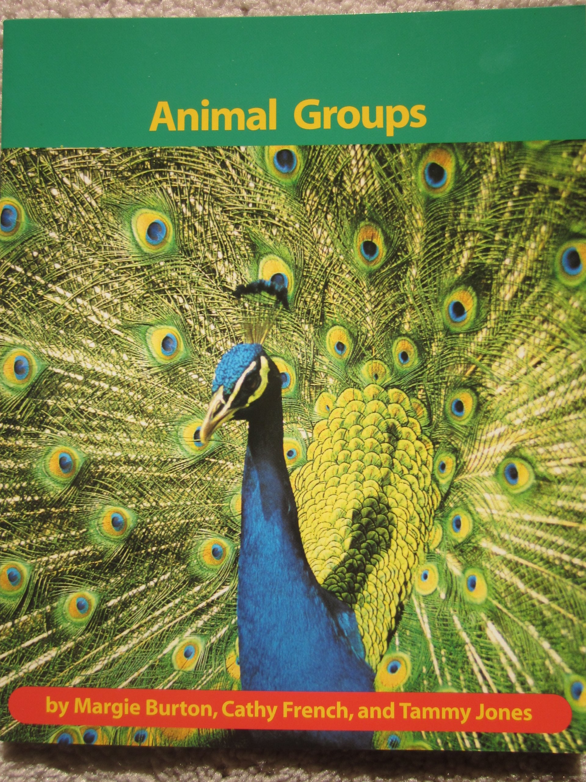 Animal Groups by Margie and Jones Tammy Burton | Goodreads