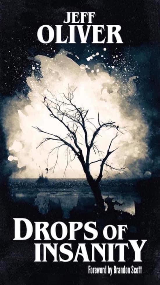Drops of Insanity by Jeff Oliver | Goodreads