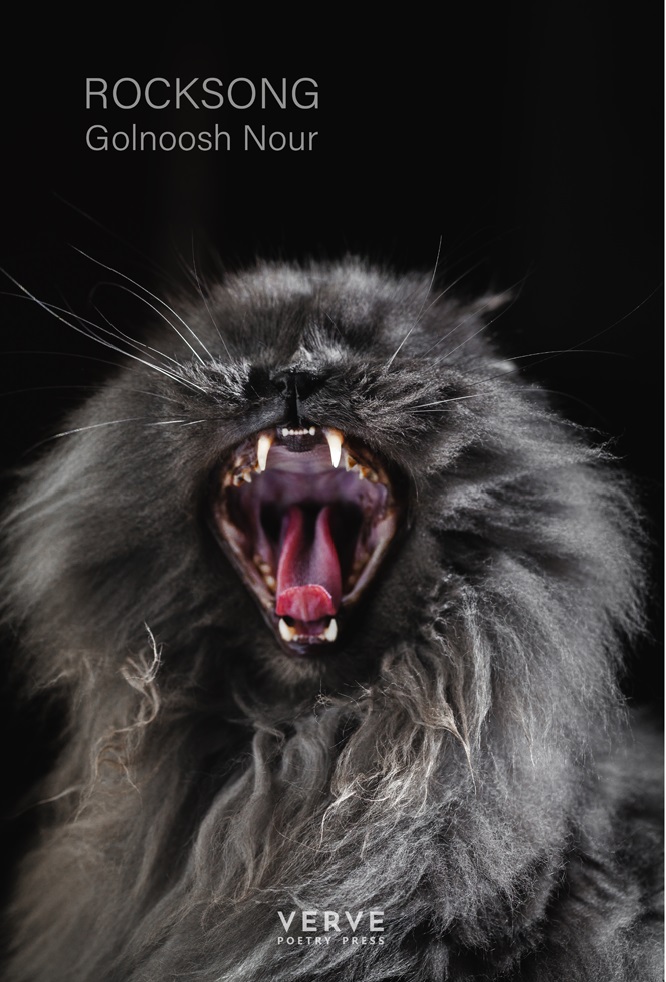 Rocksong by Golnoosh Nour | Goodreads