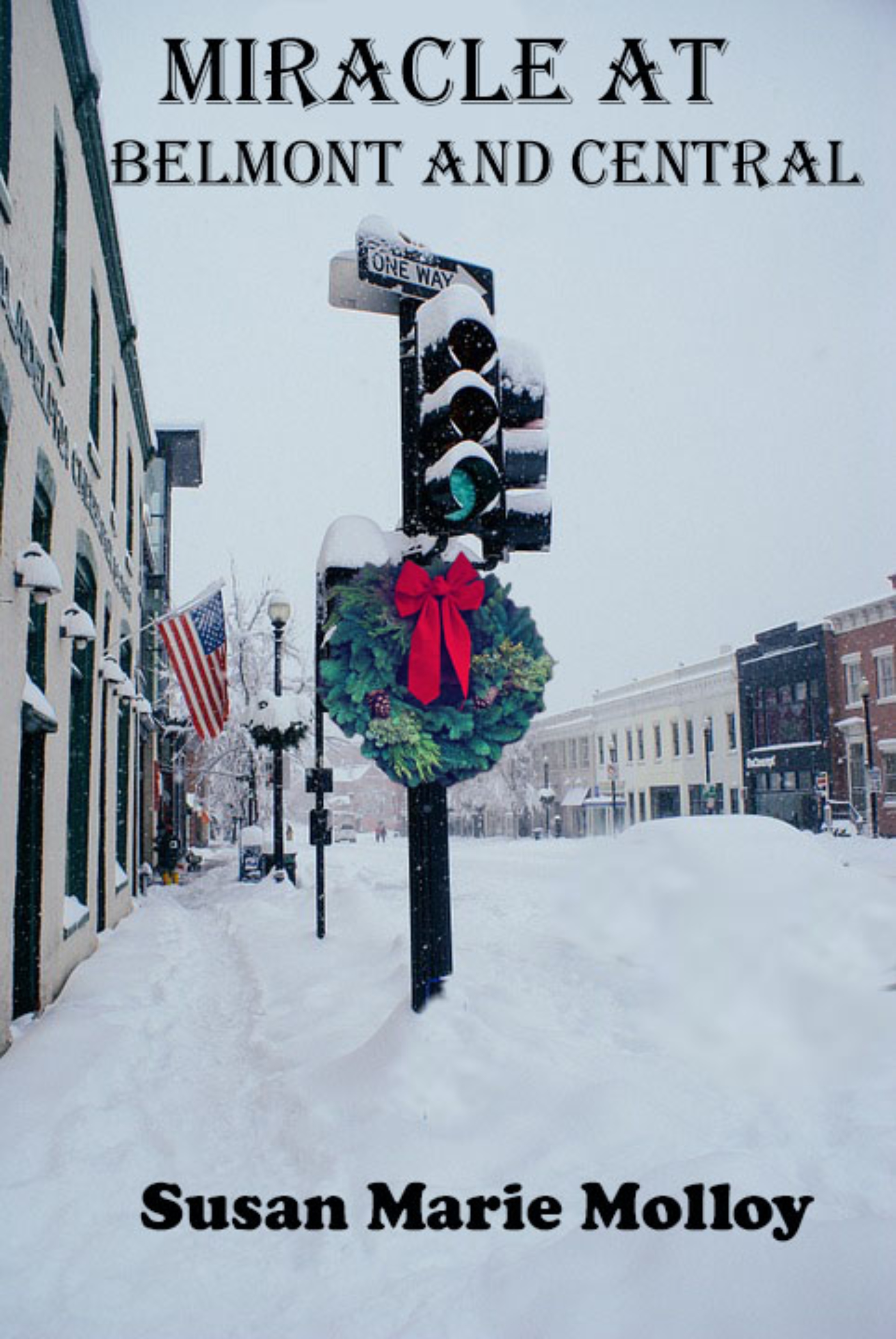 Miracle at Belmont and Central by Susan Marie Molloy | Goodreads