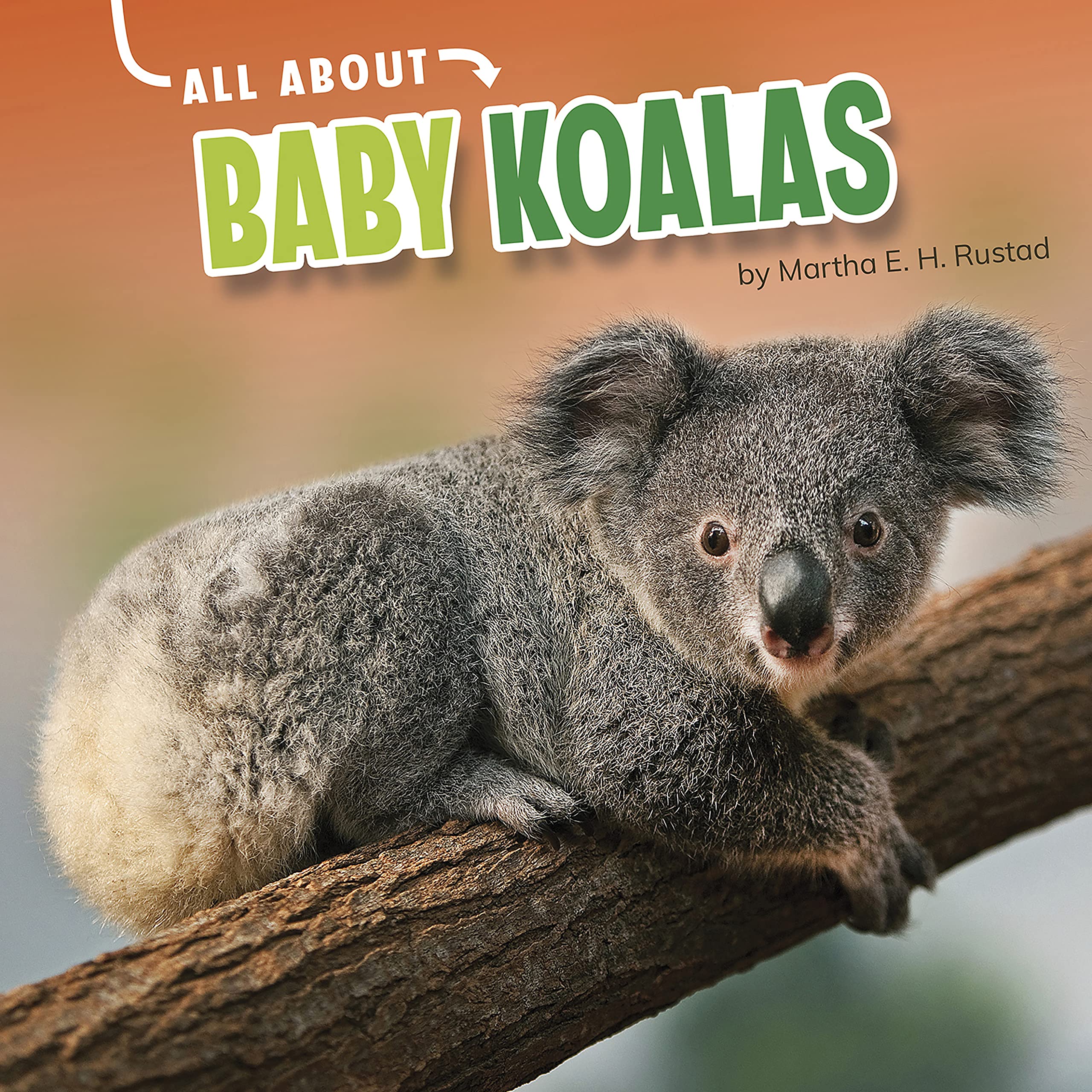 All About Baby Koalas (Oh Baby!) by Martha E.H. Rustad | Goodreads