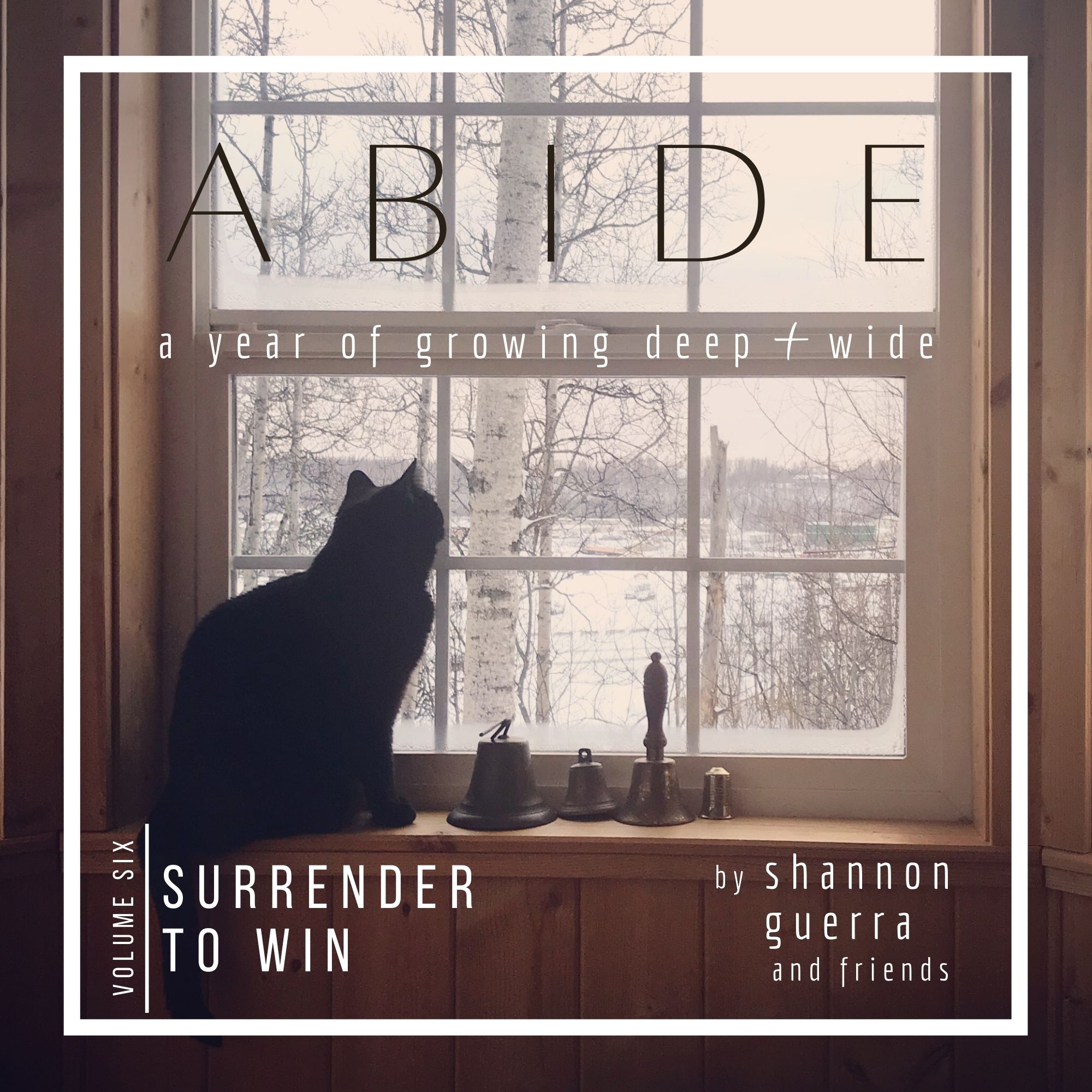 Surrender to Win: A Year of Growing Deep and Wide by Shannon Guerra ...