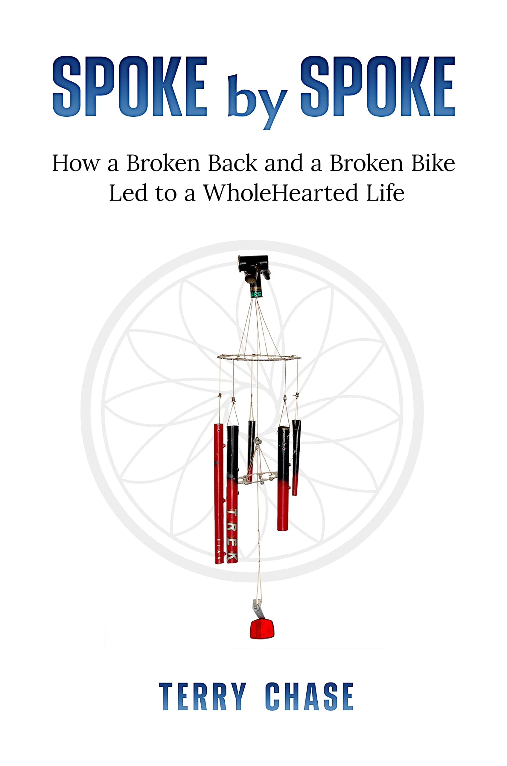 Spoke by Spoke: How a Broken Back and a Broken Bike Led to a ...