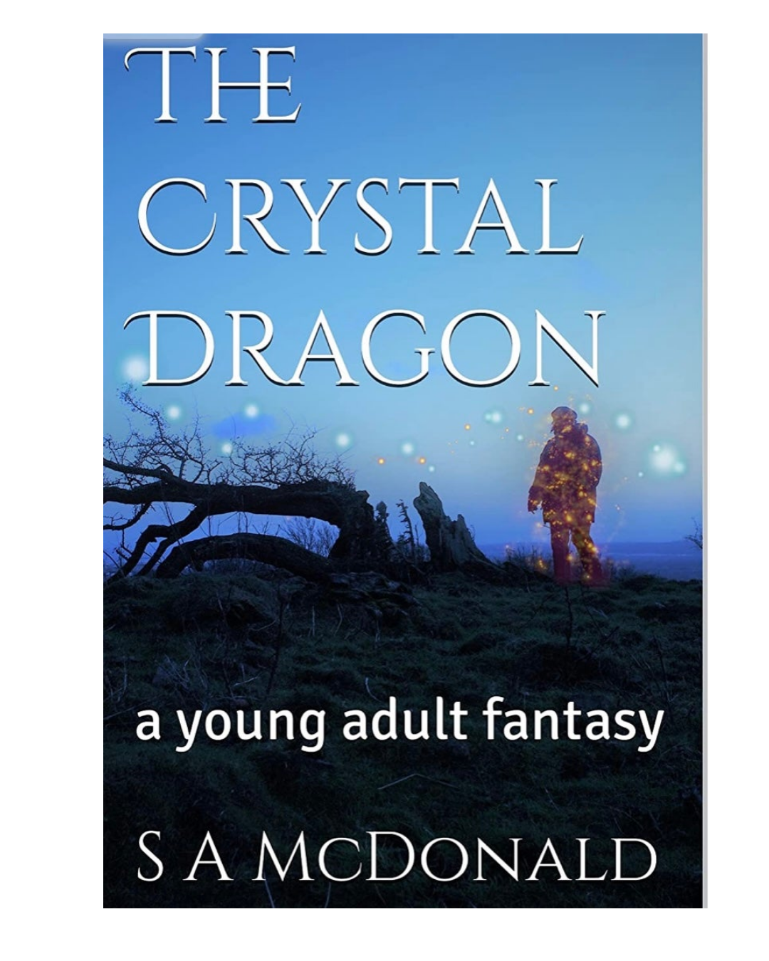 The Crystal Dragon: a young adult fantasy by S A McDonald | Goodreads