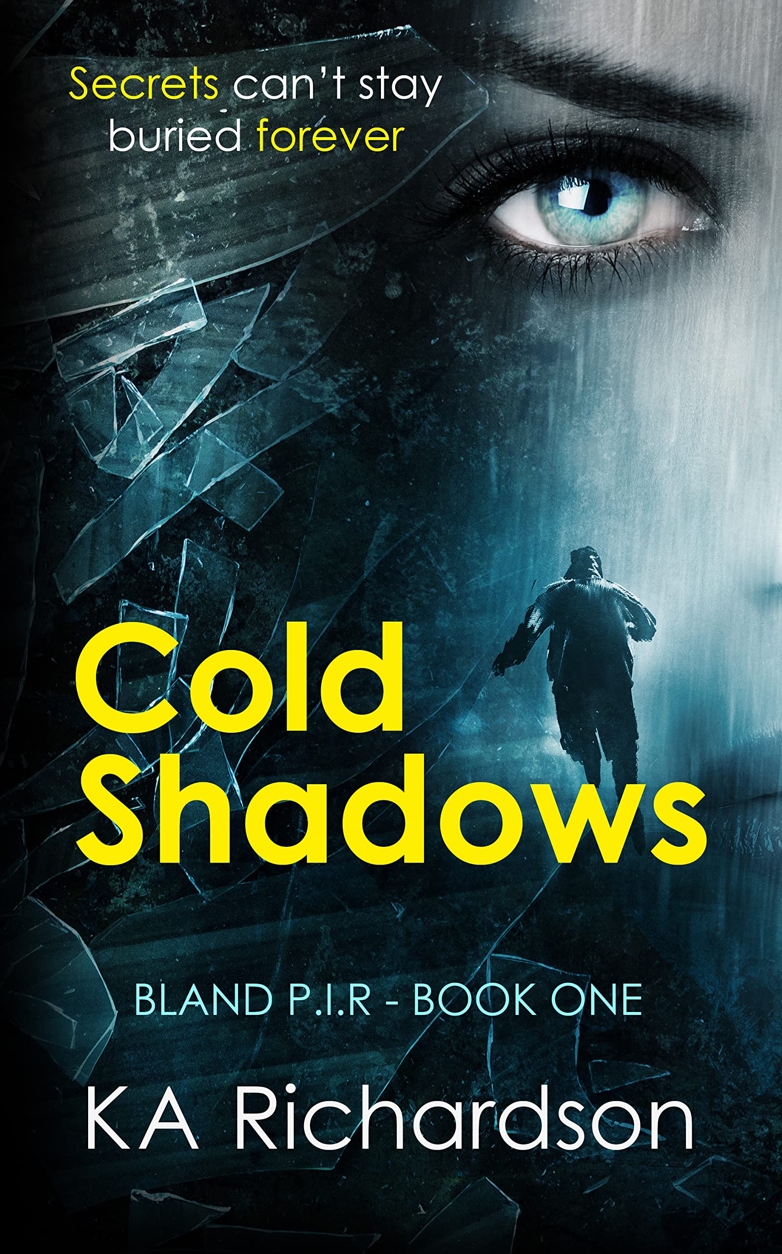 Cold Shadows: Bland P.I.R Book 1 by KA Richardson | Goodreads
