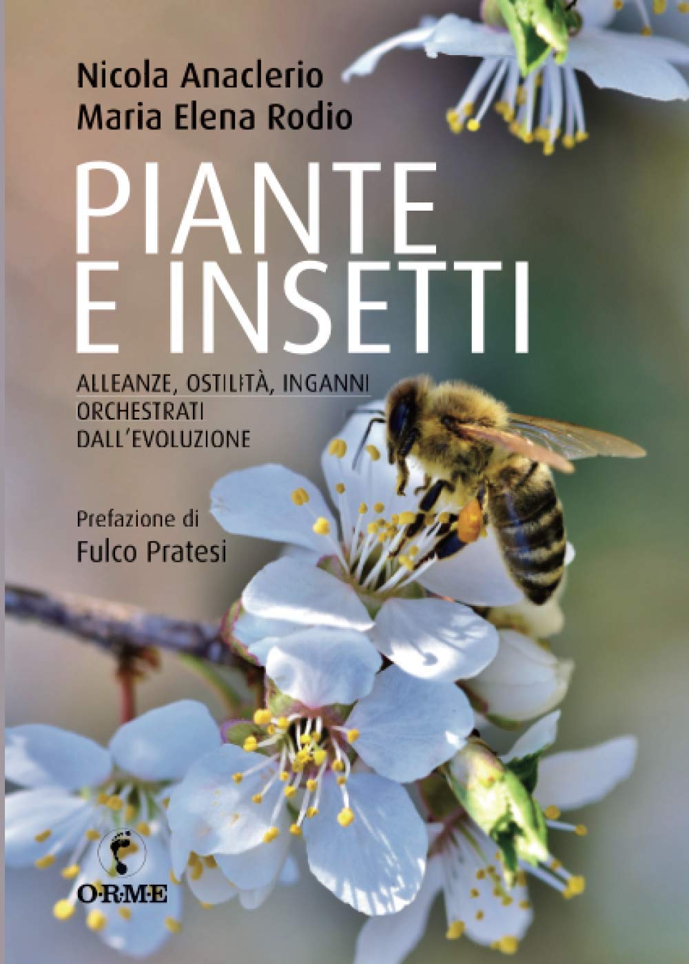 Piante e insetti: Alleanze, ostilità, inganni orchestrati dall ...