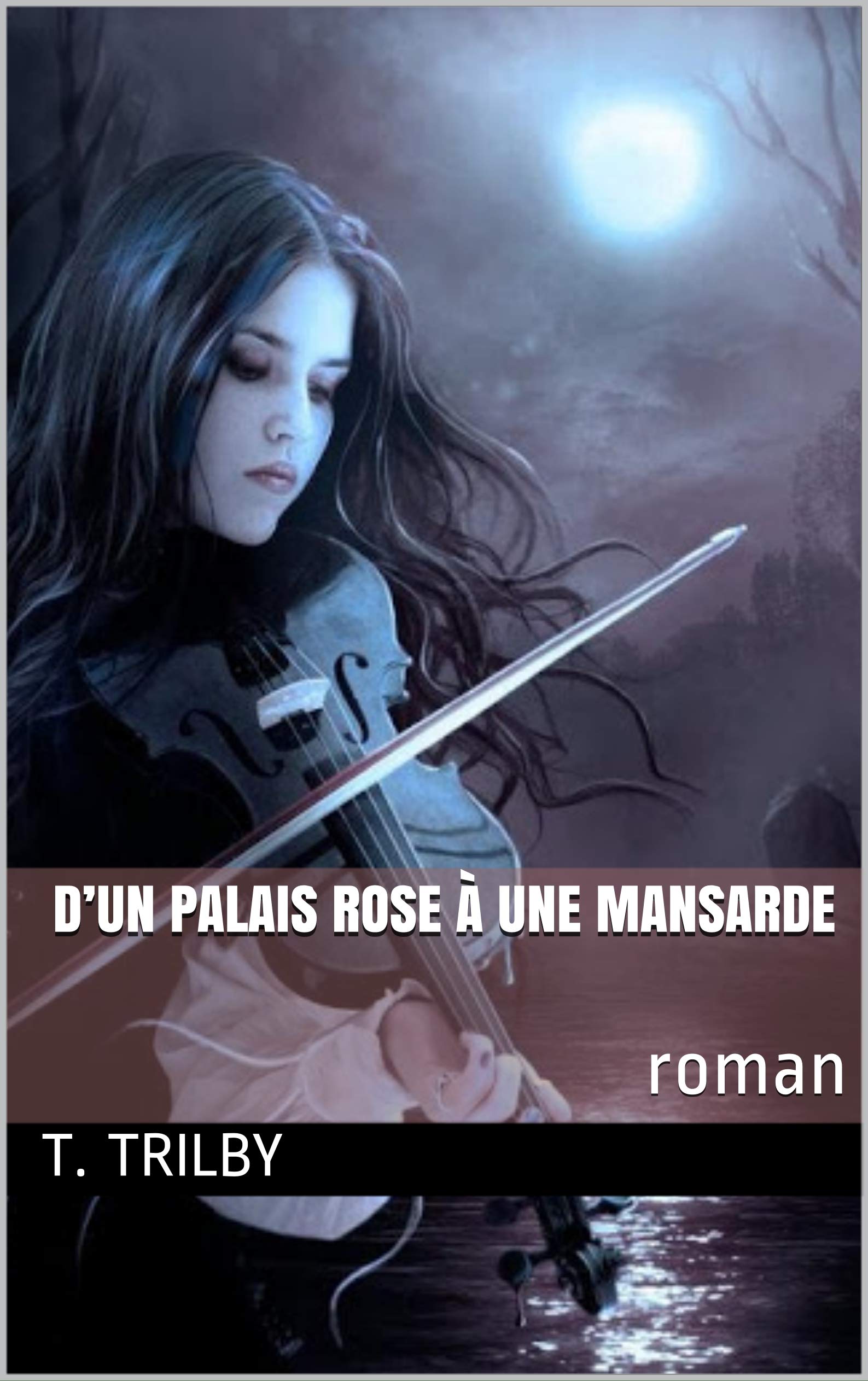 D’un palais rose à une mansarde: roman (French Edition) by T. Trilby ...