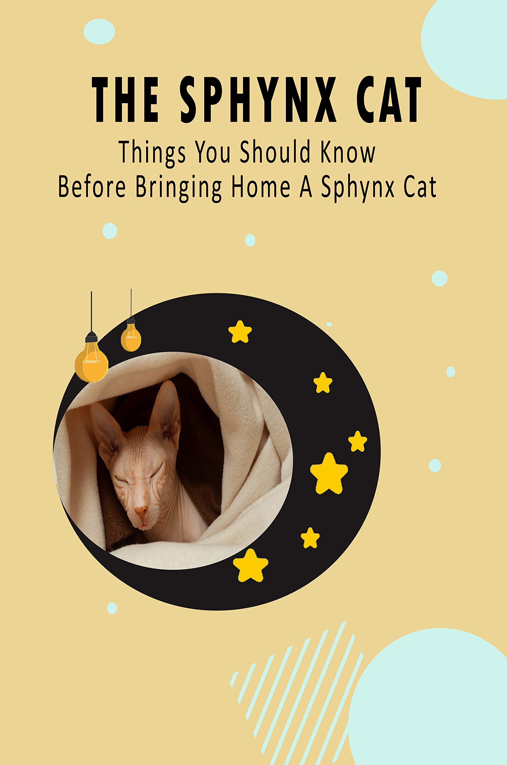 The Sphynx Cat_ Things You Should Know Before Bringing Home A Sphynx ...