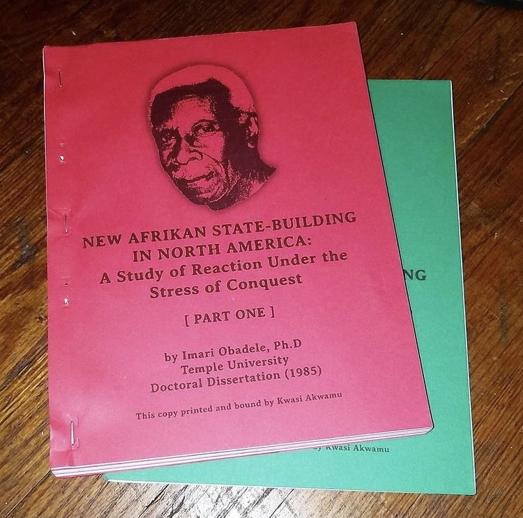 New African State-Building in North America: A Study of Reaction Under ...