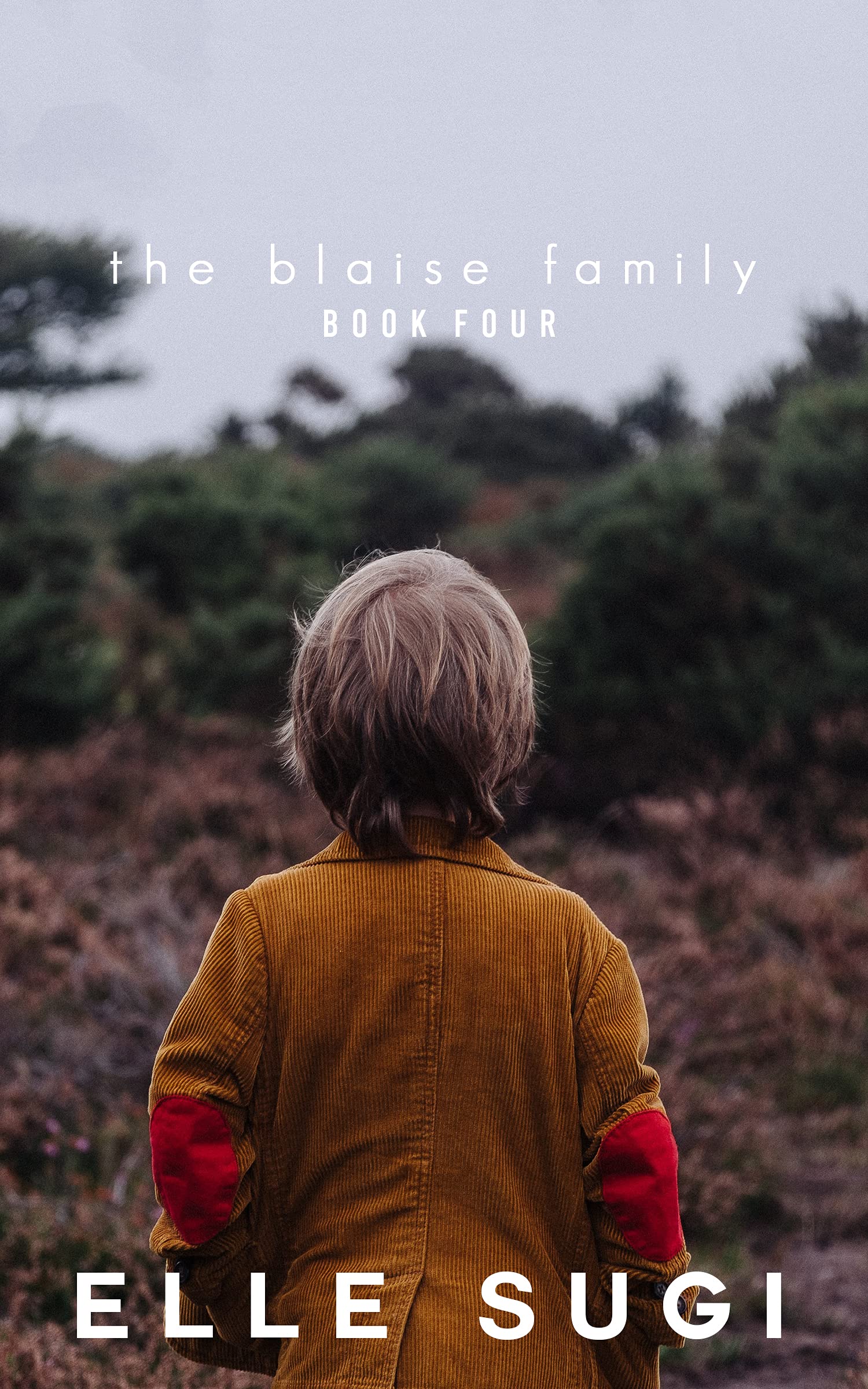 The Blaise Family (The Italians Book 4) (The Nerd and I) by Elle Sugi ...