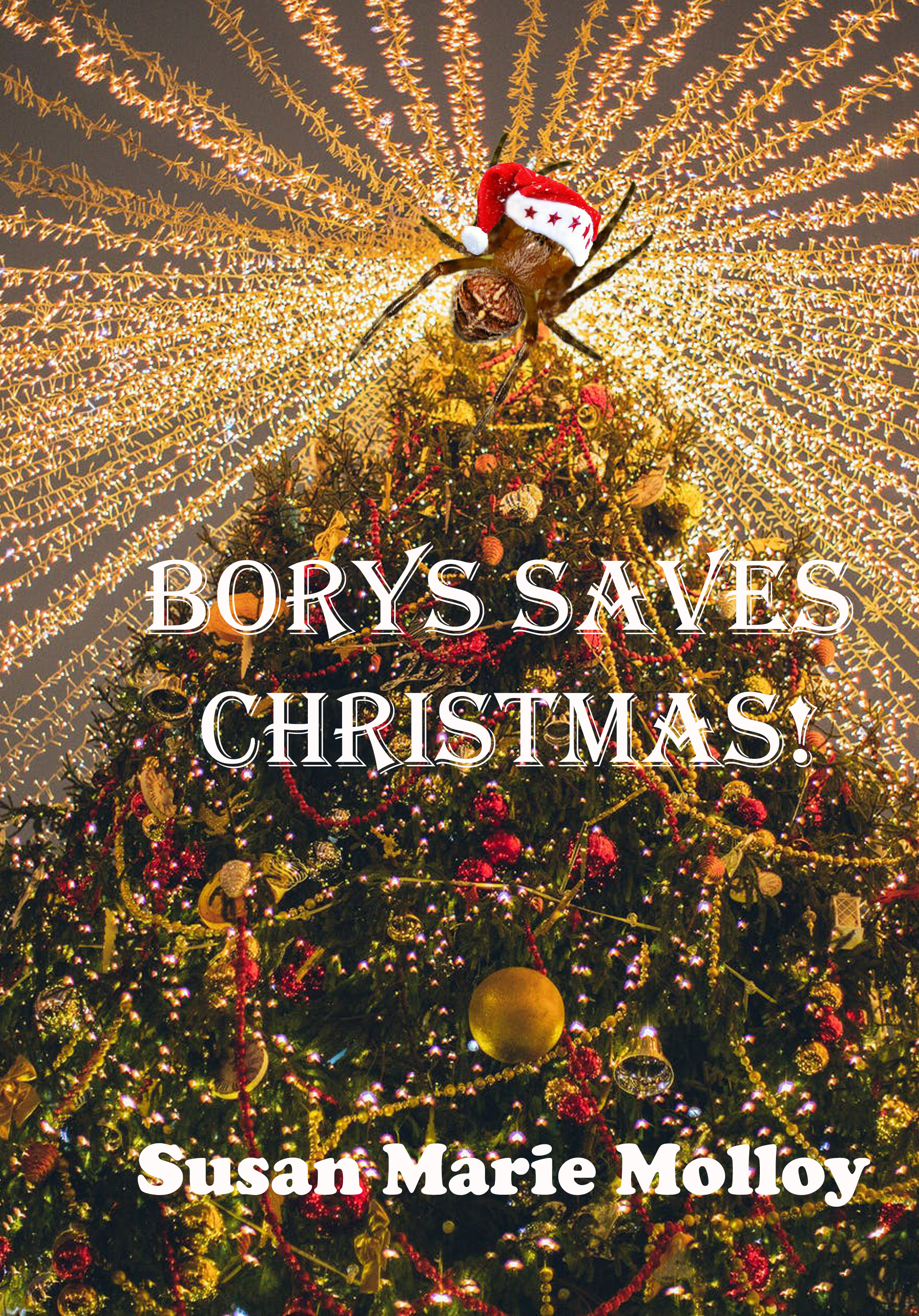 Borys Saves Christmas! by Susan Marie Molloy | Goodreads