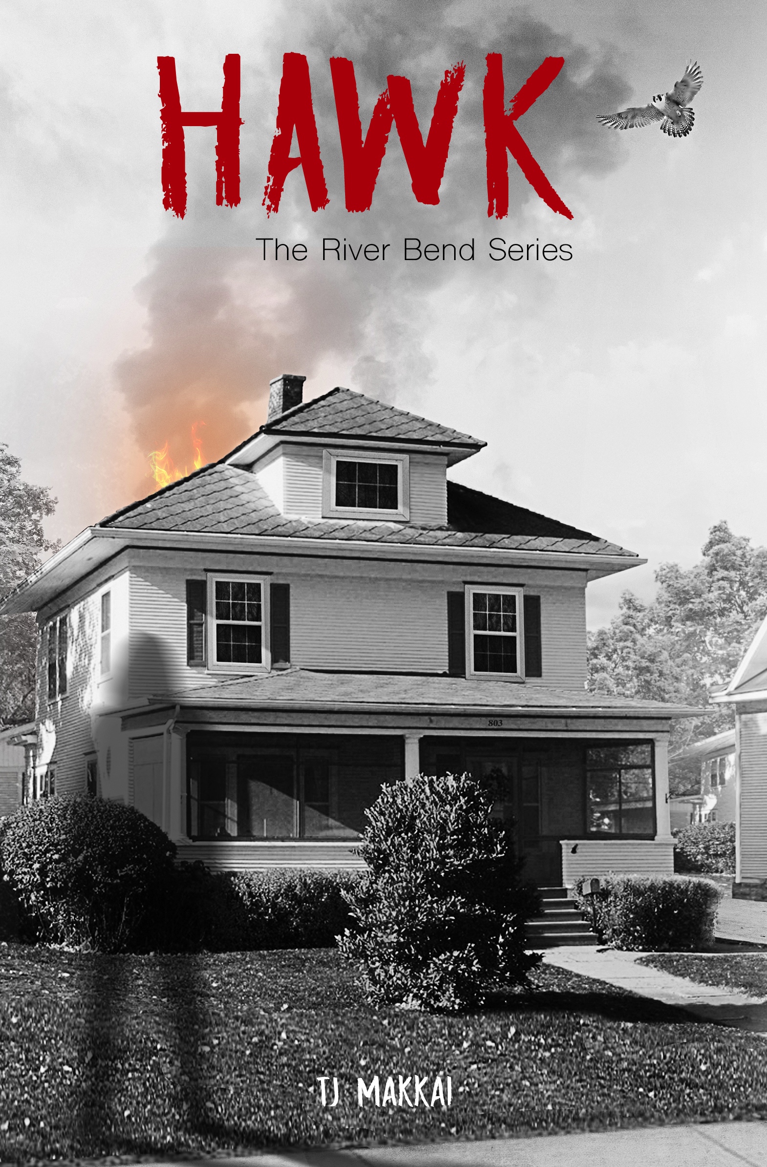 HAWK - The River Bend Series by T.J Makkai | Goodreads