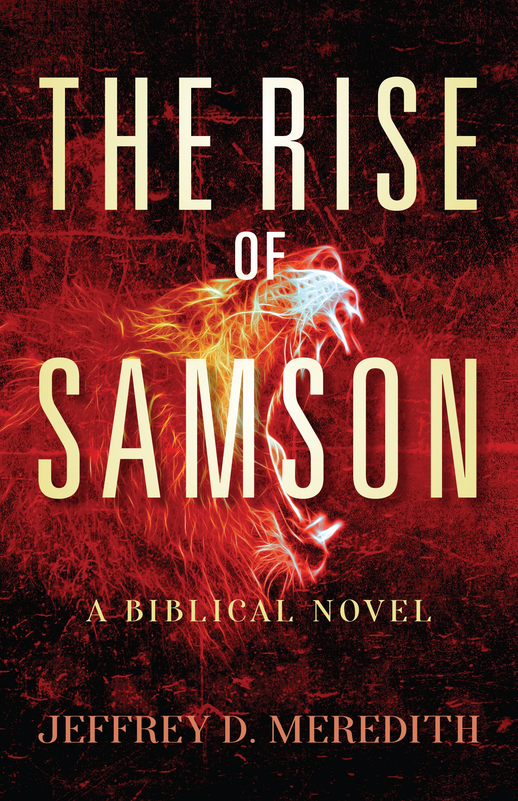 The Rise Of Samson: A Biblical Novel by Jeffrey D. Meredith | Goodreads