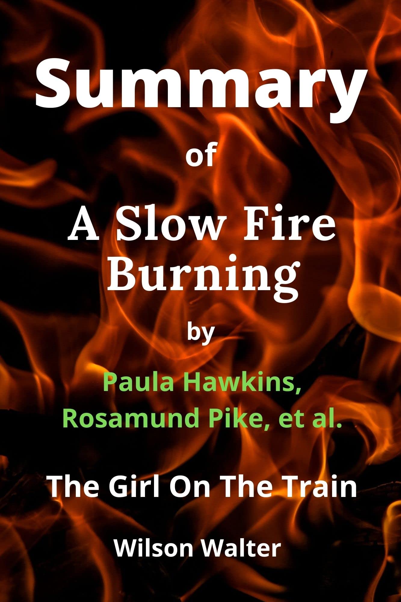 Summary of A Slow Fire Burning By Paula Hawkins, Rosamund Pike, et al ...