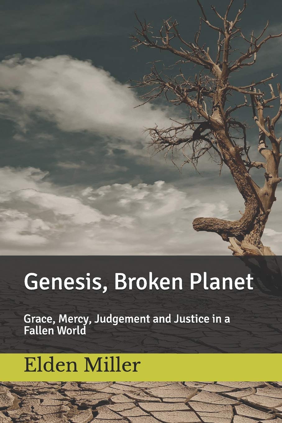 Genesis, Broken Planet: Grace, Mercy, Judgement and Justice in a Fallen ...