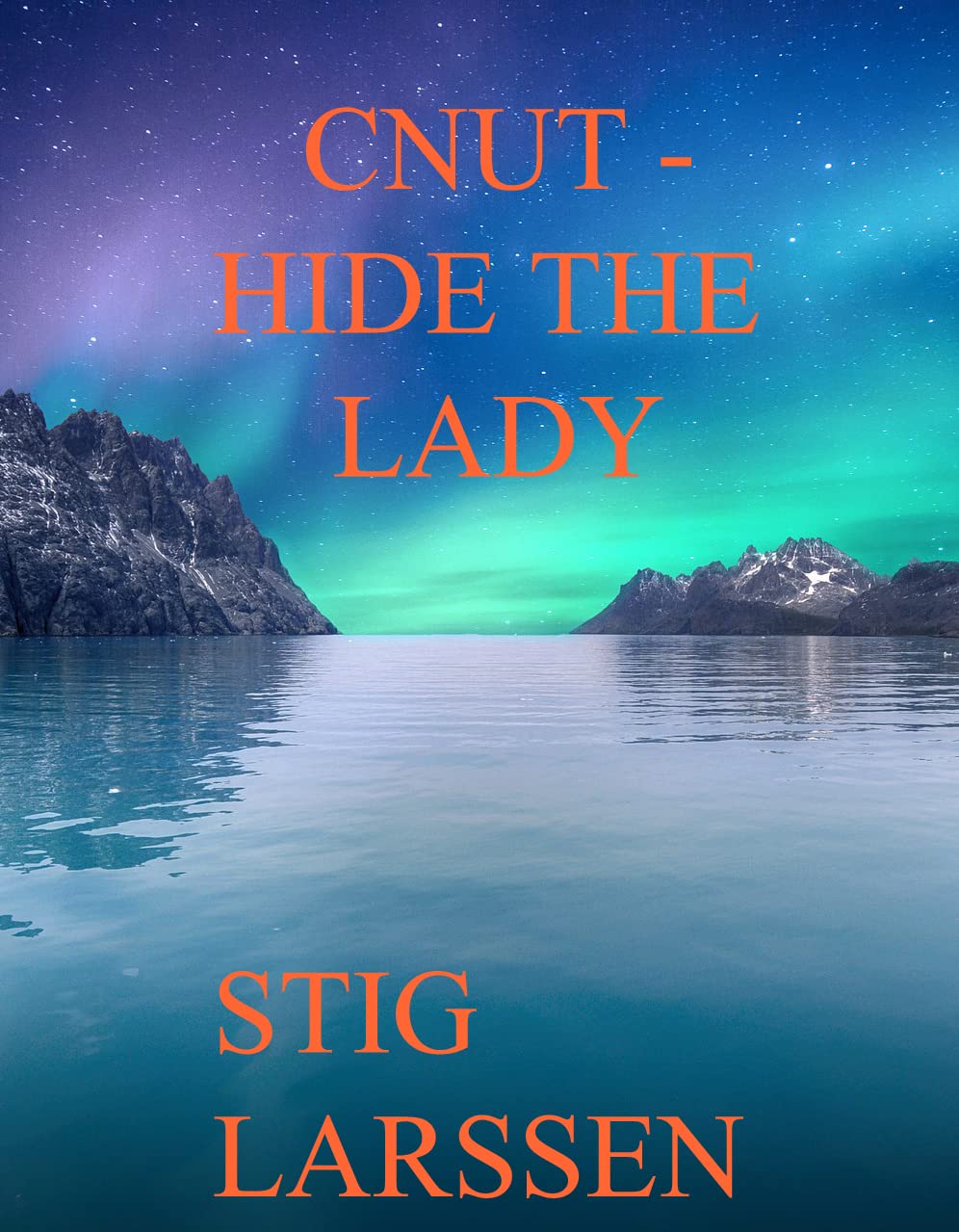 Cnut - Hide The Lady: Skjule Damen by Stig Larssen | Goodreads