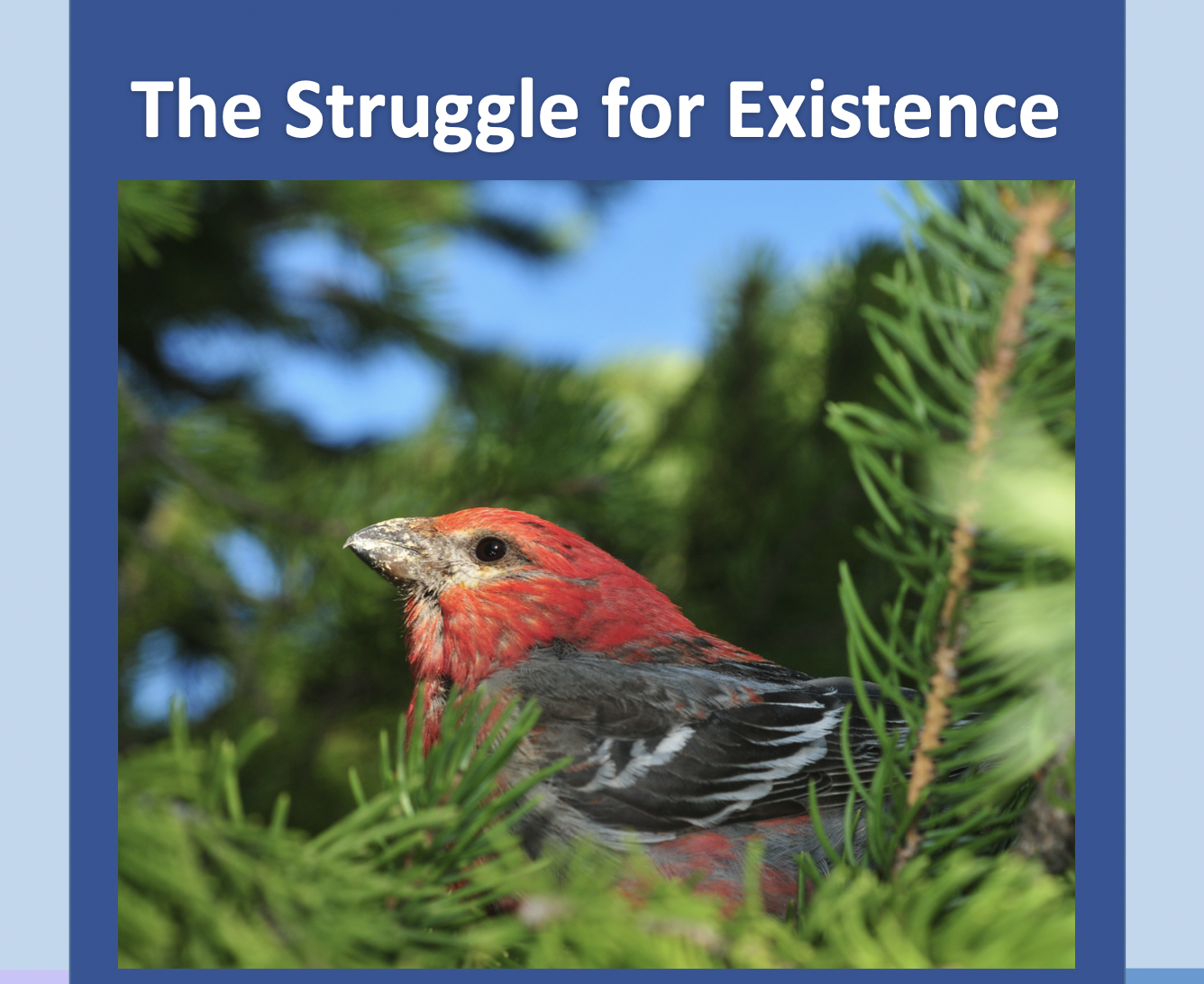 The Struggle for Existence by James Thomson | Goodreads