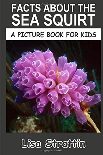 Facts About the Sea Squirt (A Picture Book For Kids) by Lisa Strattin ...